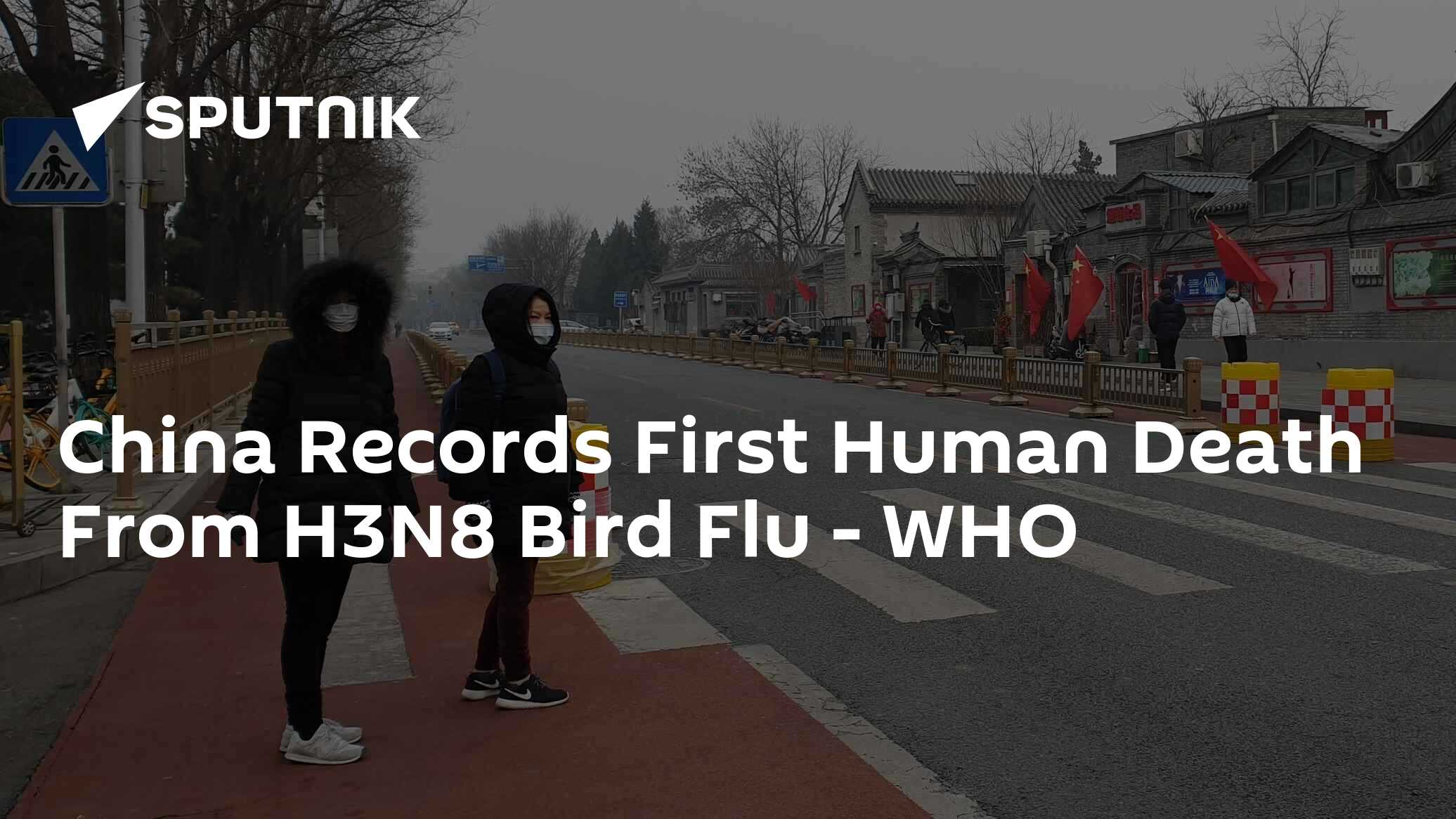 China Records First Human Death From H3N8 Bird Flu - WHO
