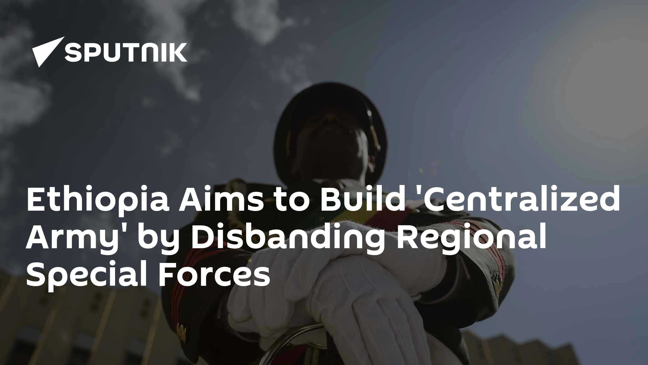 Ethiopia Aims to Build 'Centralized Army' by Disbanding Regional ...