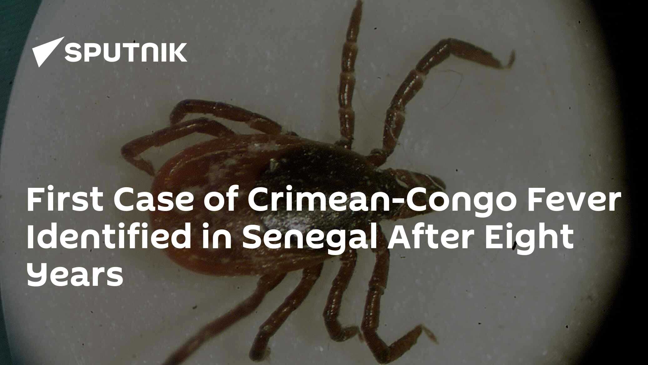First Case of Crimean-Congo Fever in Eight Years Identified in Senegal