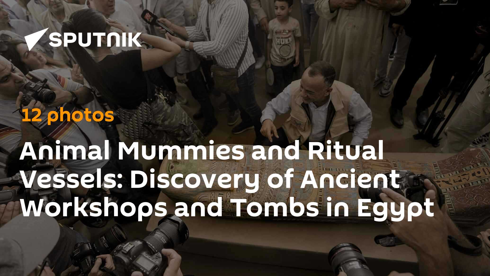 Animal Mummies and Ritual Vessels: Discovery of Ancient Workshops&Tombs ...