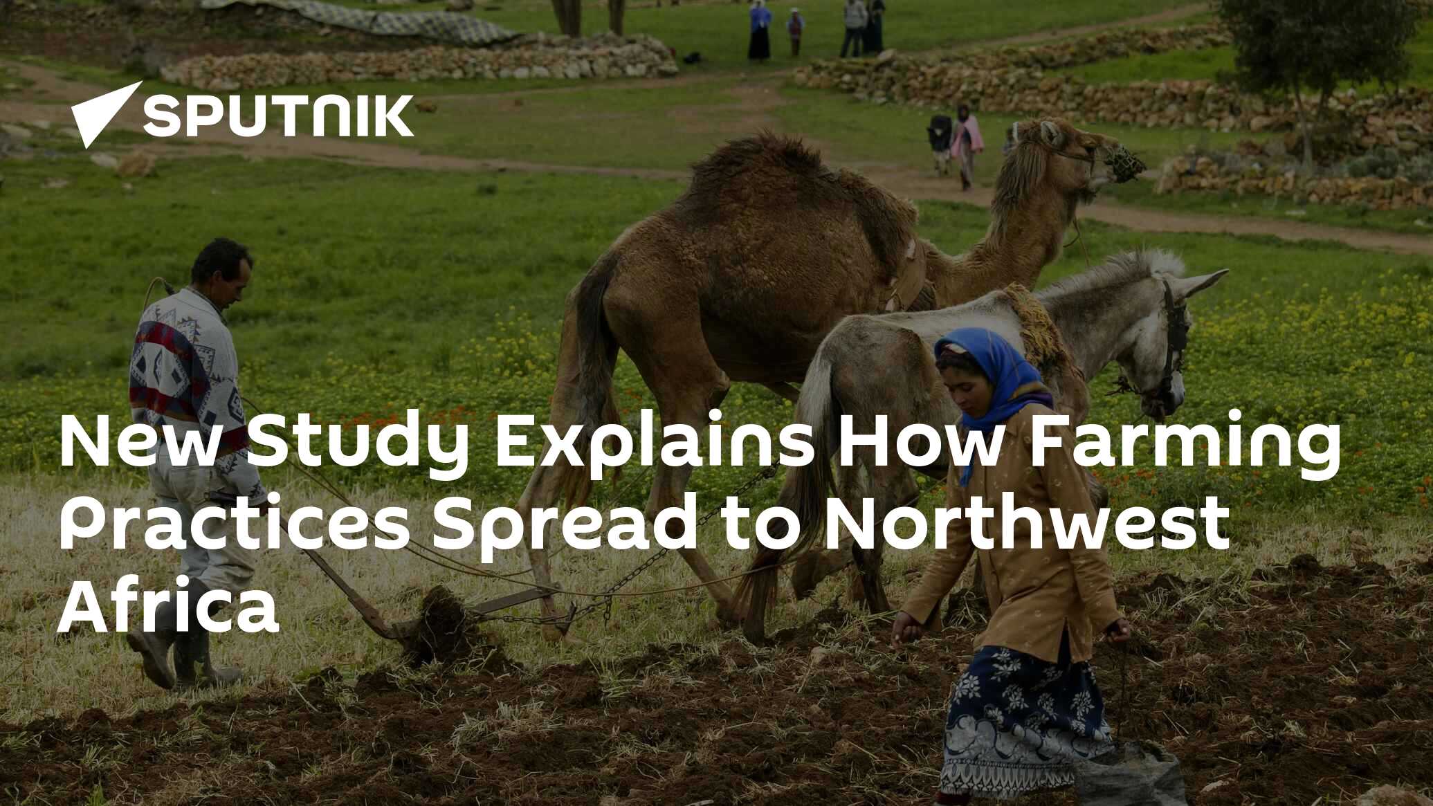 New Study Explains How Farming Practices Spread to Northwest Africa ...