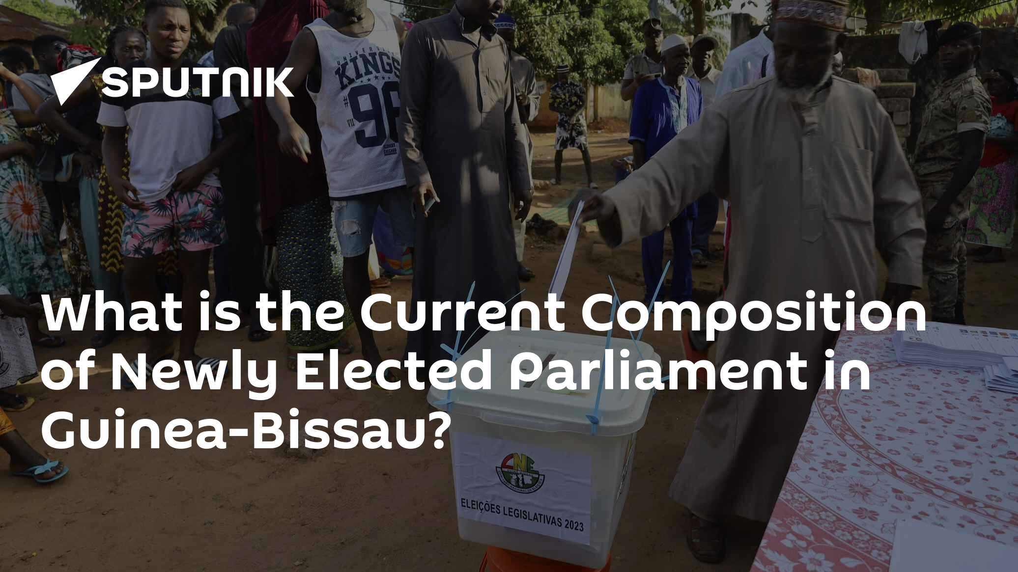 What is the Current Composition of Newly Elected Parliament in Guinea ...