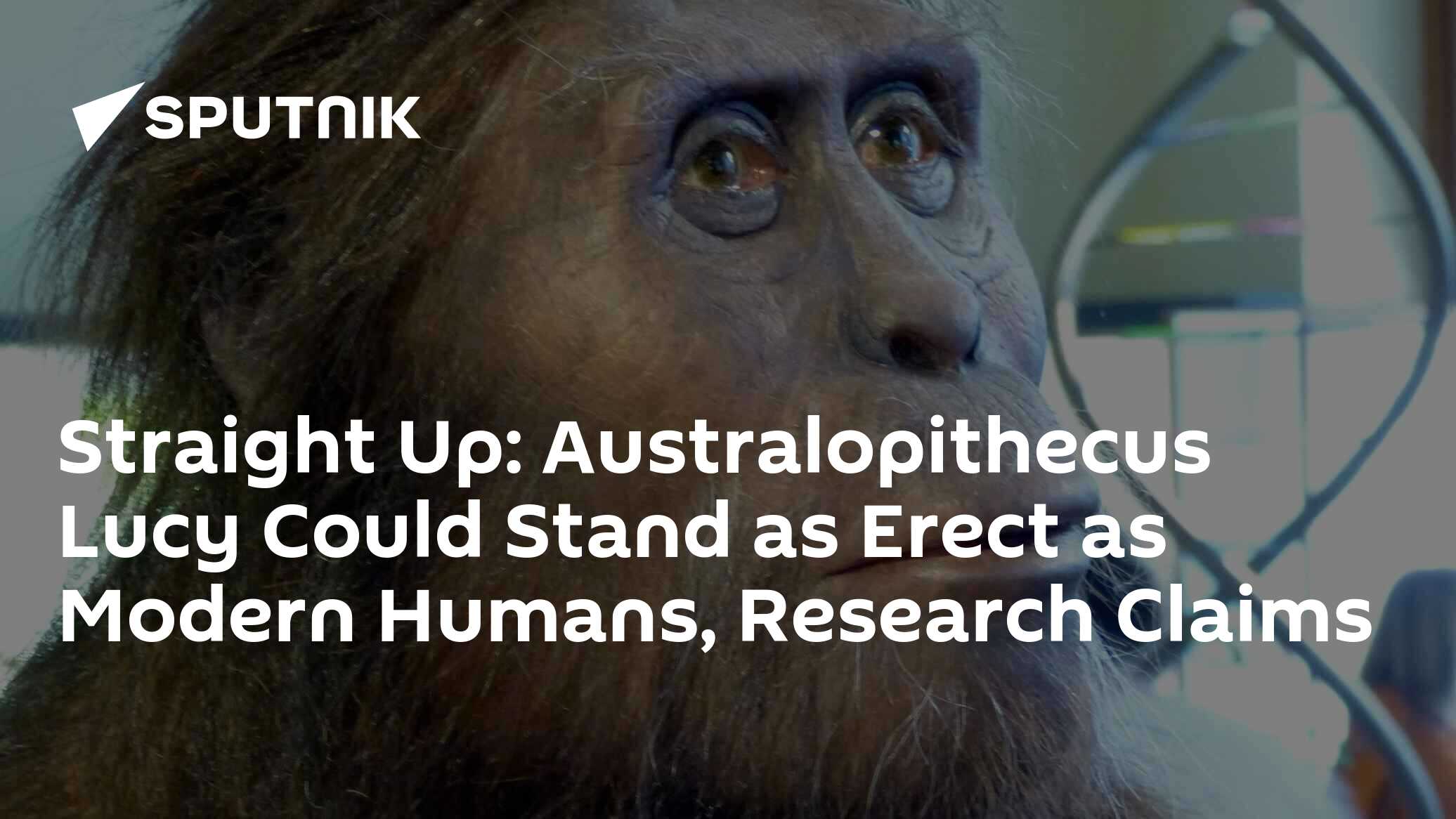 Straight Up: Australopithecus Lucy Could Stand as Erect as Modern Humans, Research Claims - 18. ...