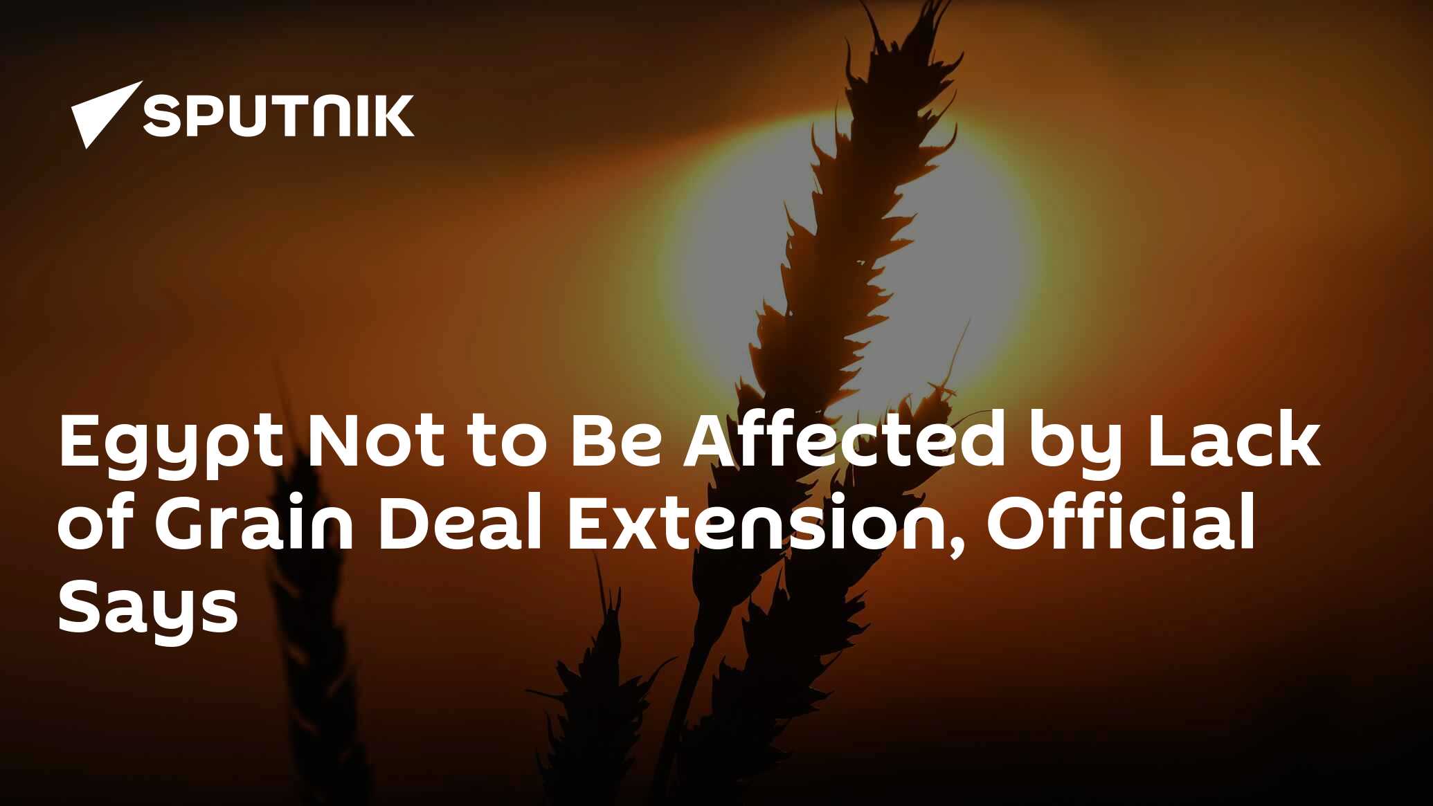 Egypt Not to Be Affected by Lack of Grain Deal Extension, Official Says ...