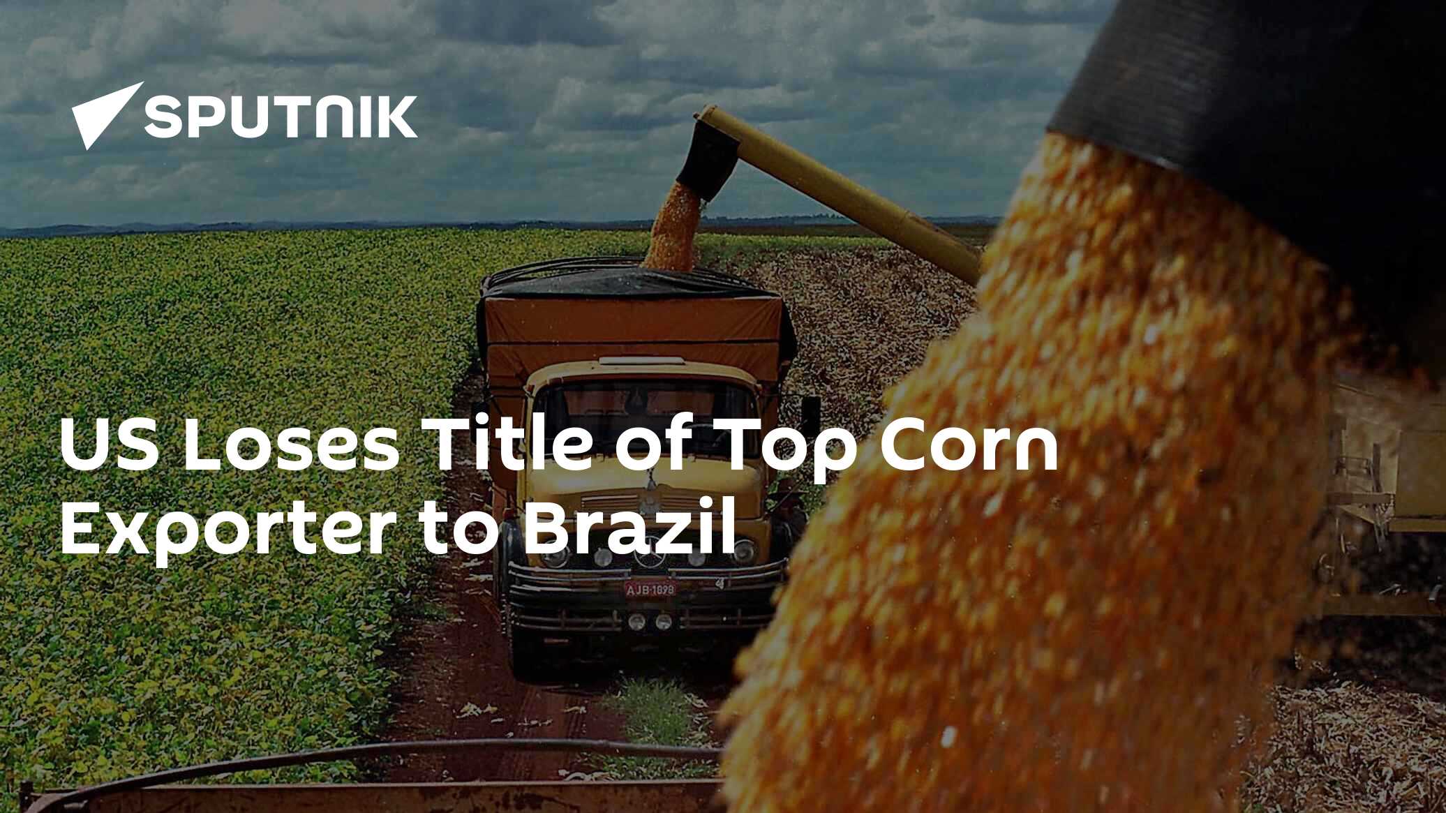 US Loses Title of Top Corn Exporter to Brazil - 02.09.2023, Sputnik Africa
