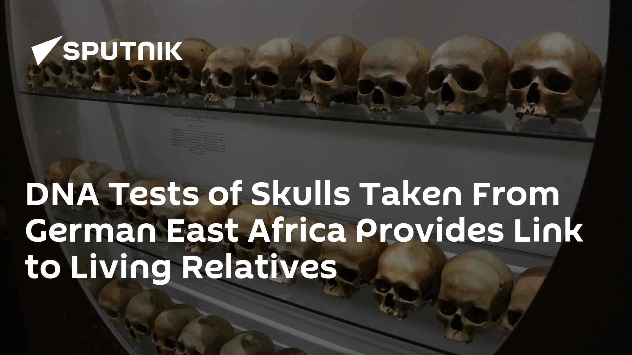 DNA Tests of Skulls Taken From German East Africa Provides Link to ...