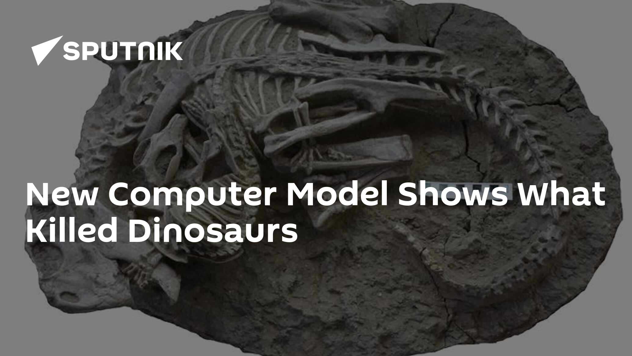 New Computer Model Shows What Killed Dinosaurs - 01.10.2023, Sputnik Africa