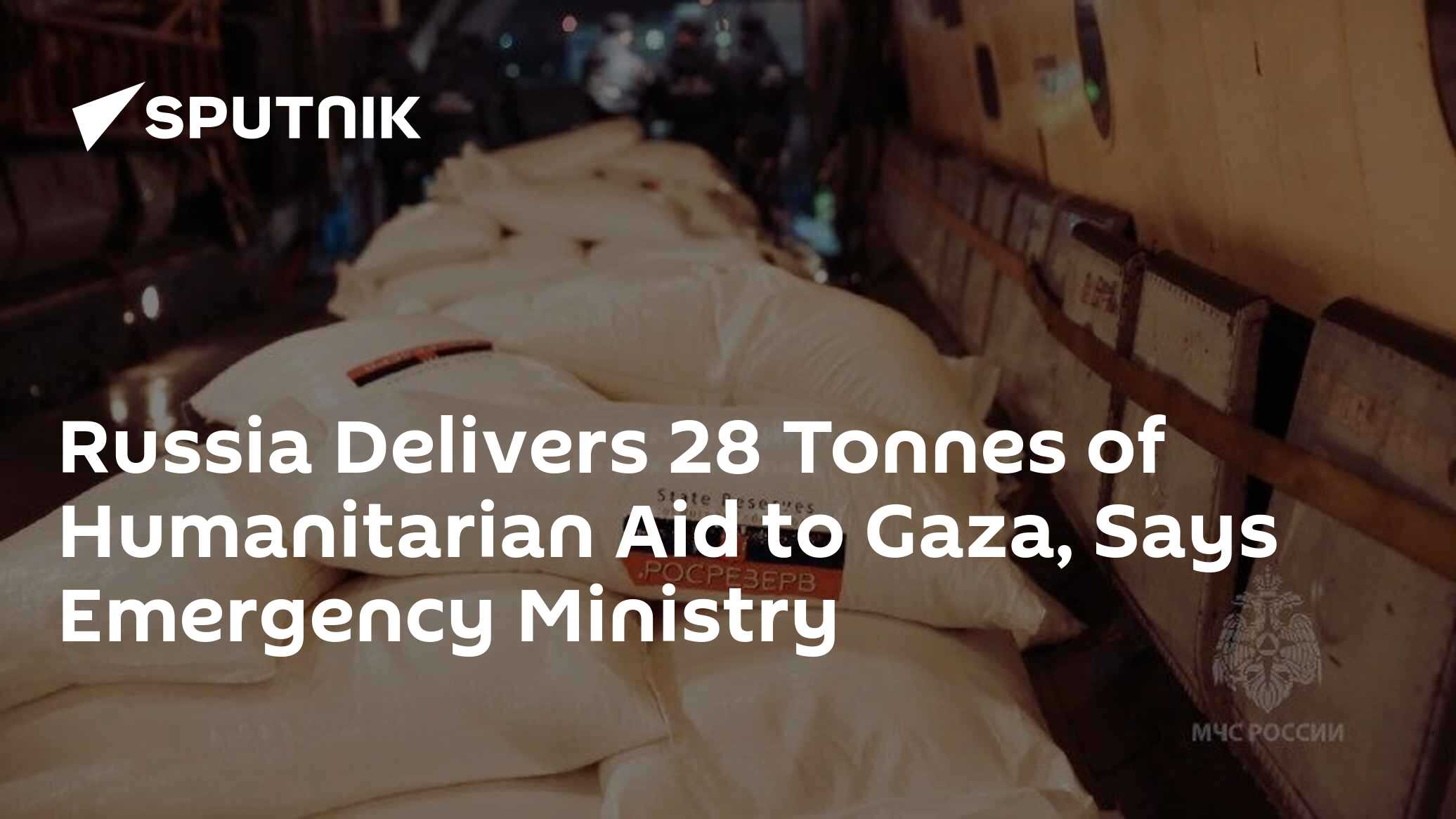 Russia Delivers 28 Tonnes of Humanitarian Aid to Gaza, Says Emergency ...