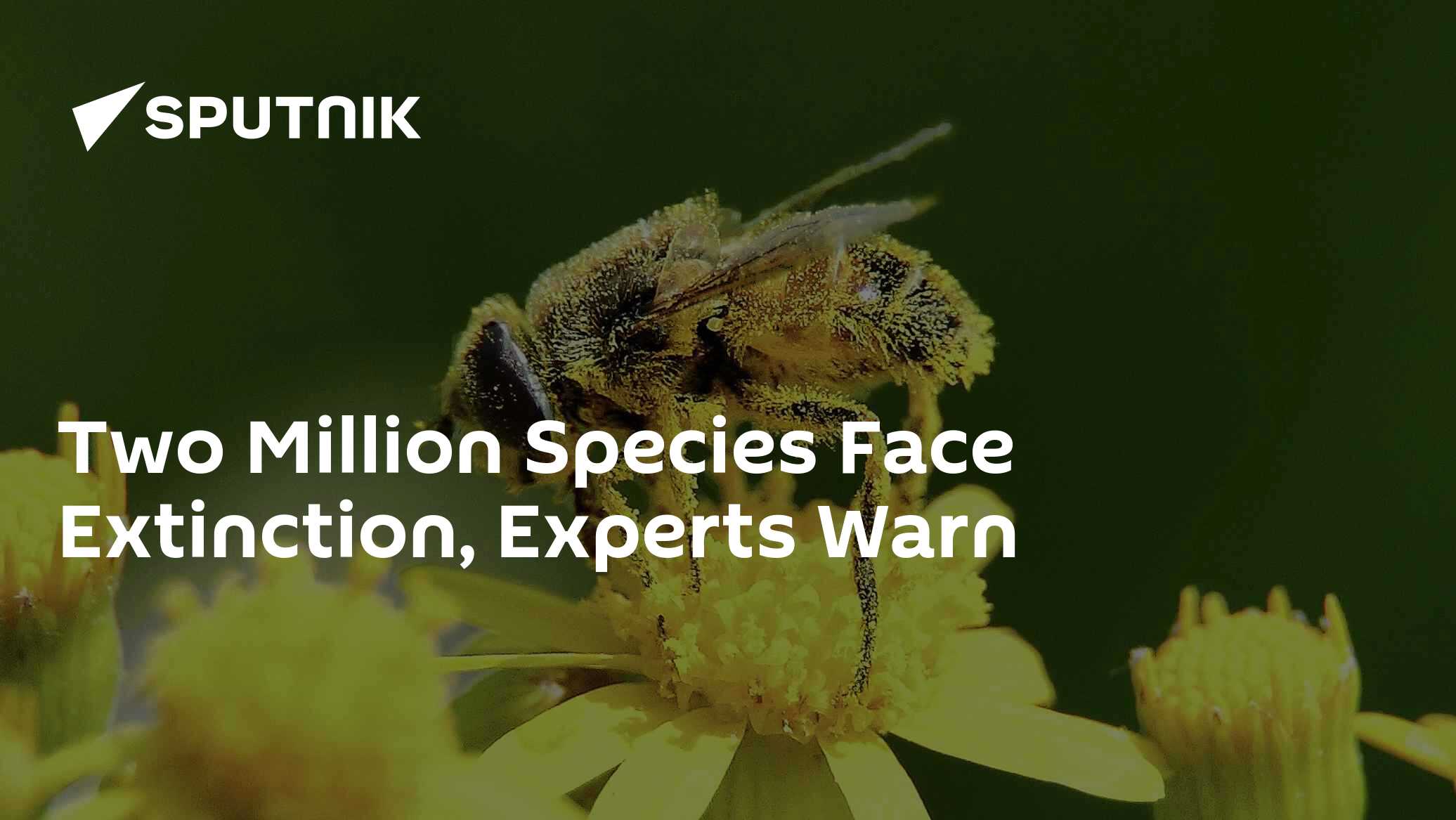Two Million Species Face Extinction, Experts Warn - 13.11.2023, Sputnik ...