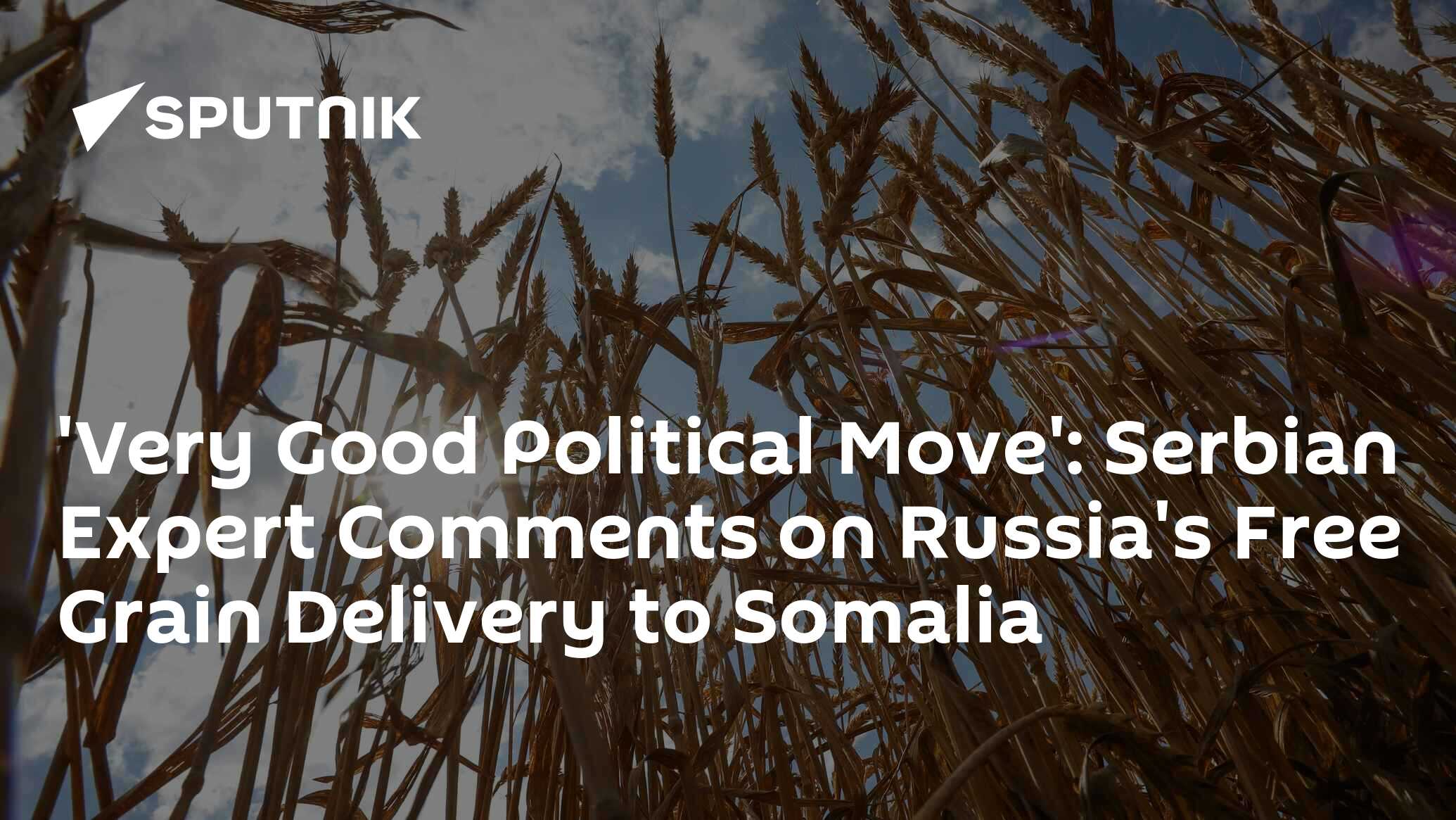 'Very Good Political Move': Serbian Expert Comments on Russia's Free ...