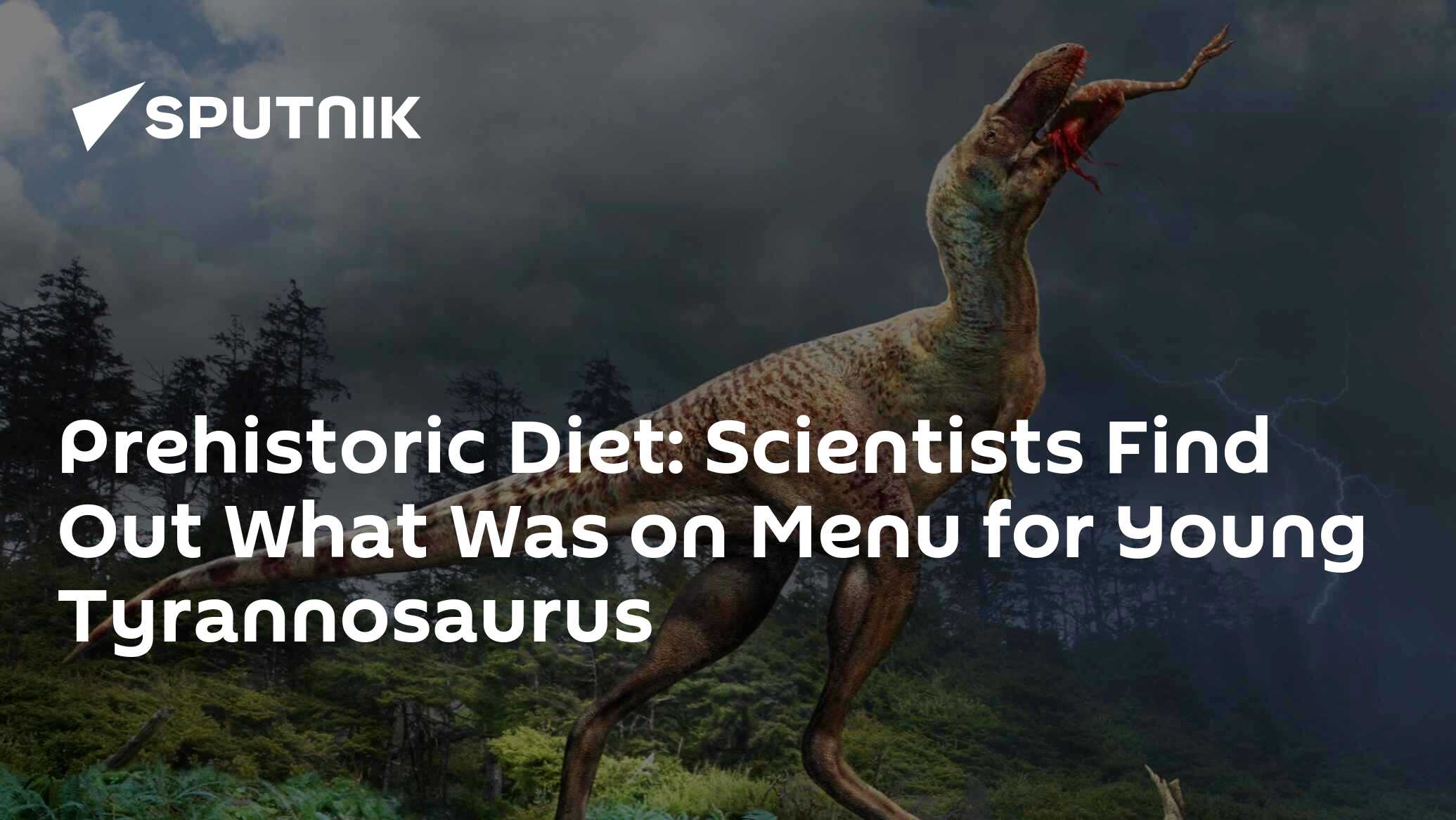 Prehistoric Diet: Scientists Find Out What Was on Menu for Young ...
