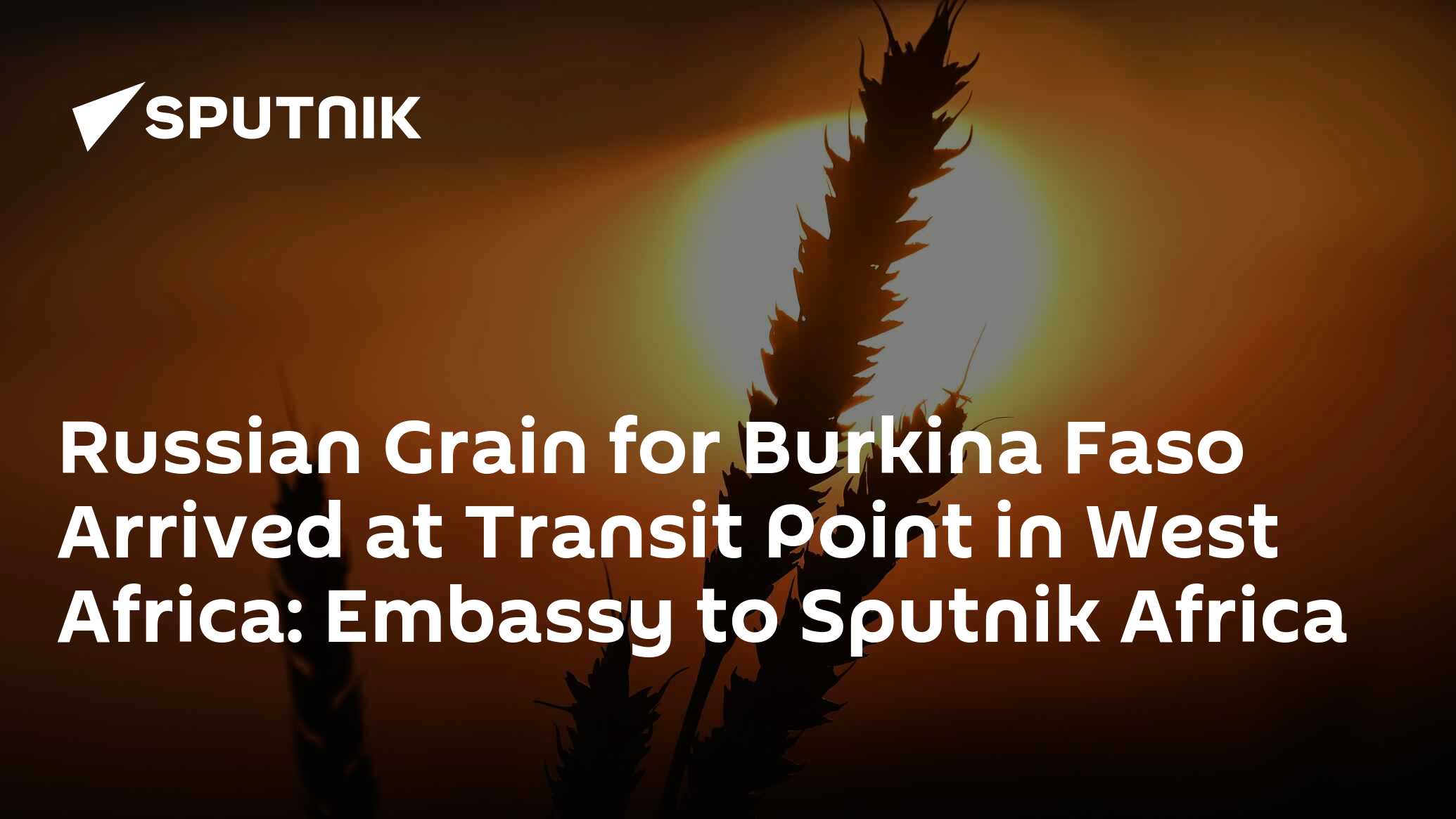 Russian Grain for Burkina Faso Arrived at Transit Point in West Africa: Embassy to Sputnik ...
