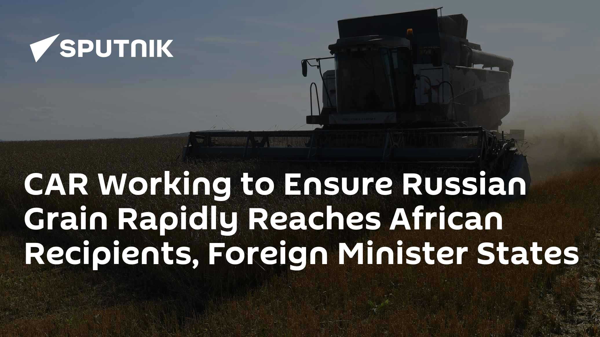 CAR Working to Ensure Russian Grain Rapidly Reaches African Recipients ...