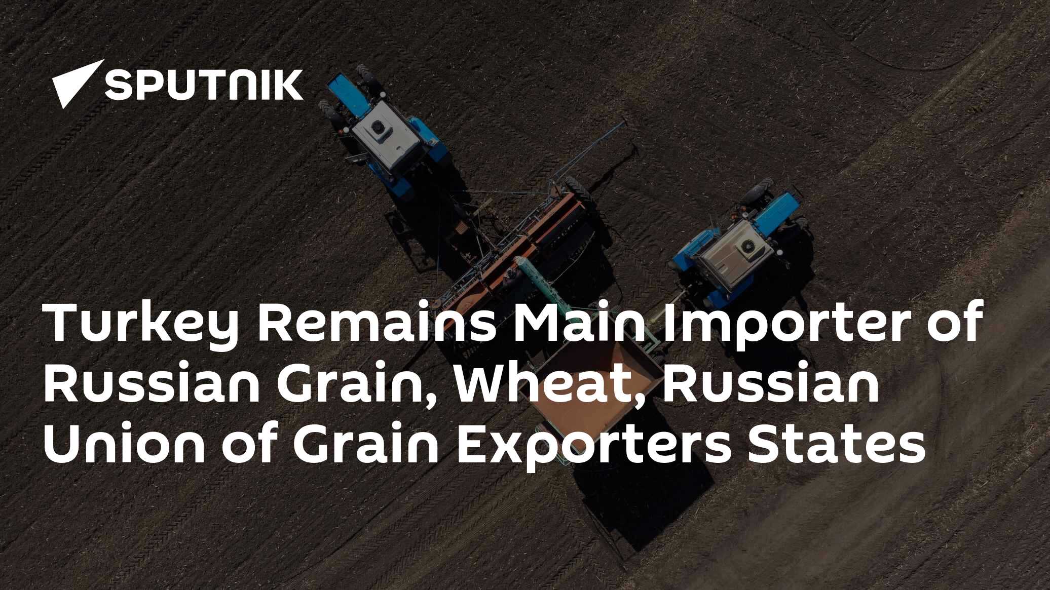 Turkey Remains Main Importer of Russian Grain, Wheat, Russian Union of ...