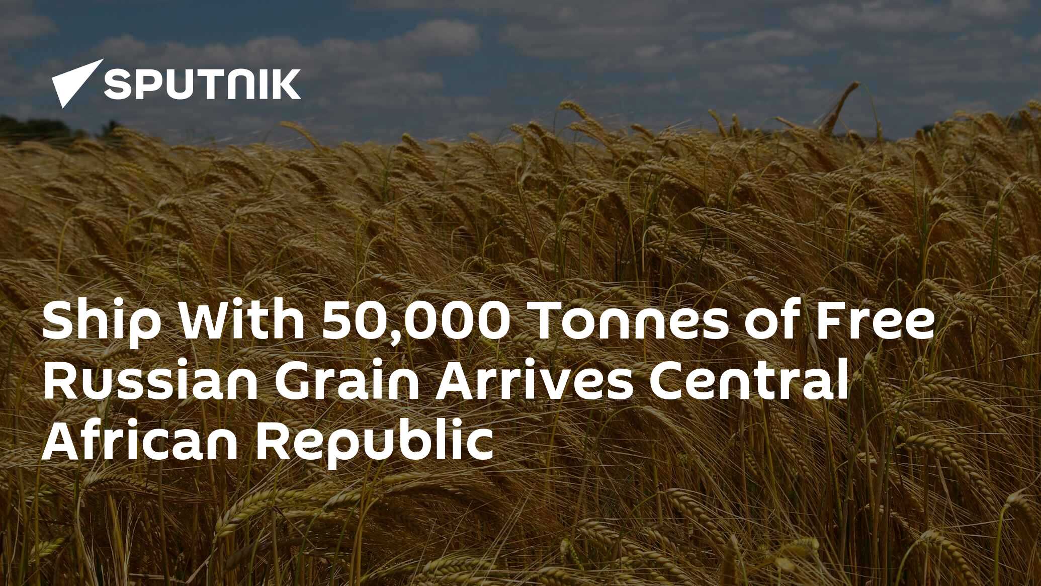Ship With 50,000 Tonnes of Free Russian Grain Arrives Central African ...