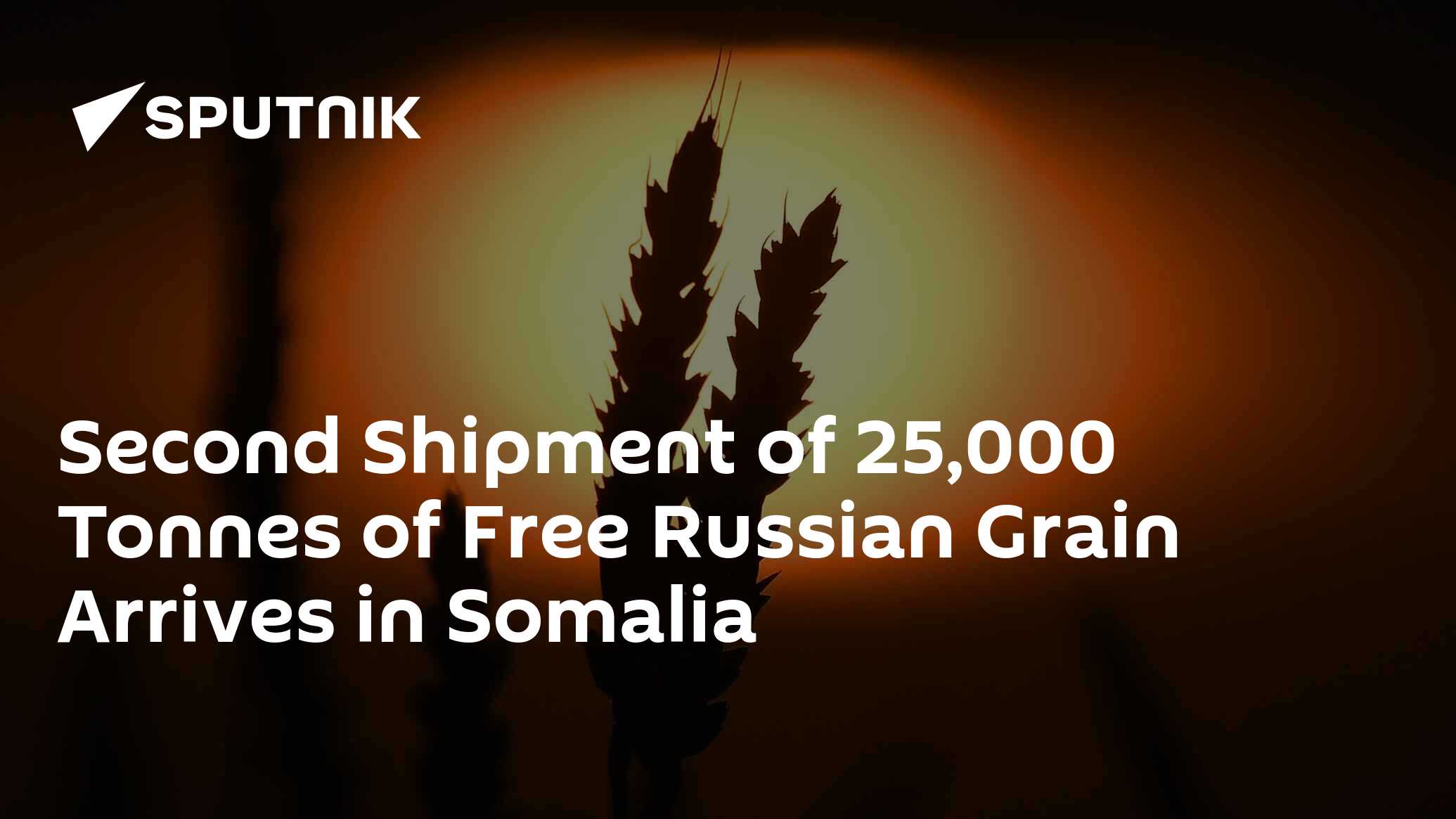 Second Shipment of 25,000 Tonnes of Free Russian Grain Arrives in ...