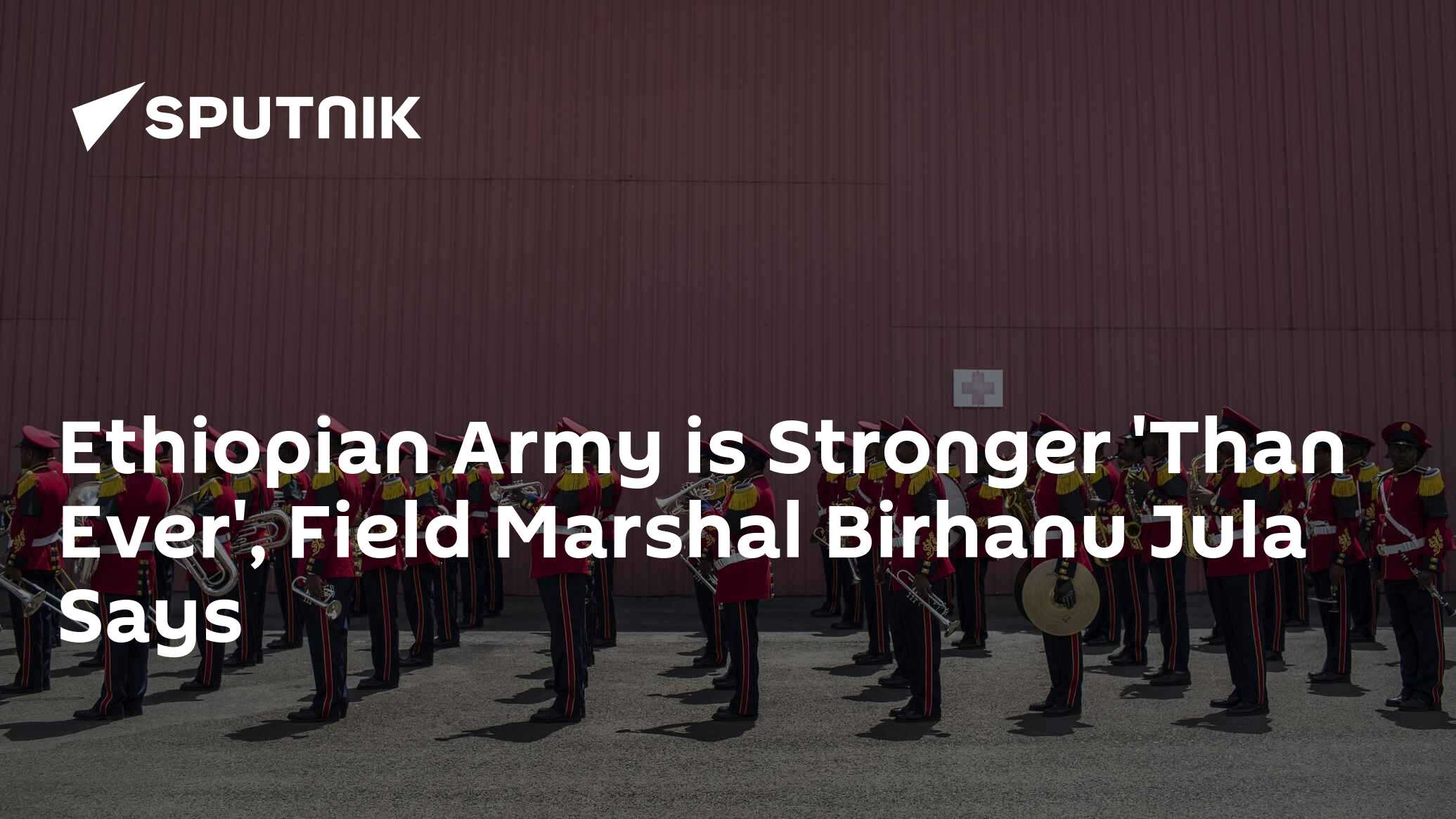 Ethiopian Army is Stronger 'Than Ever', Field Marshal Birhanu Jula Says ...