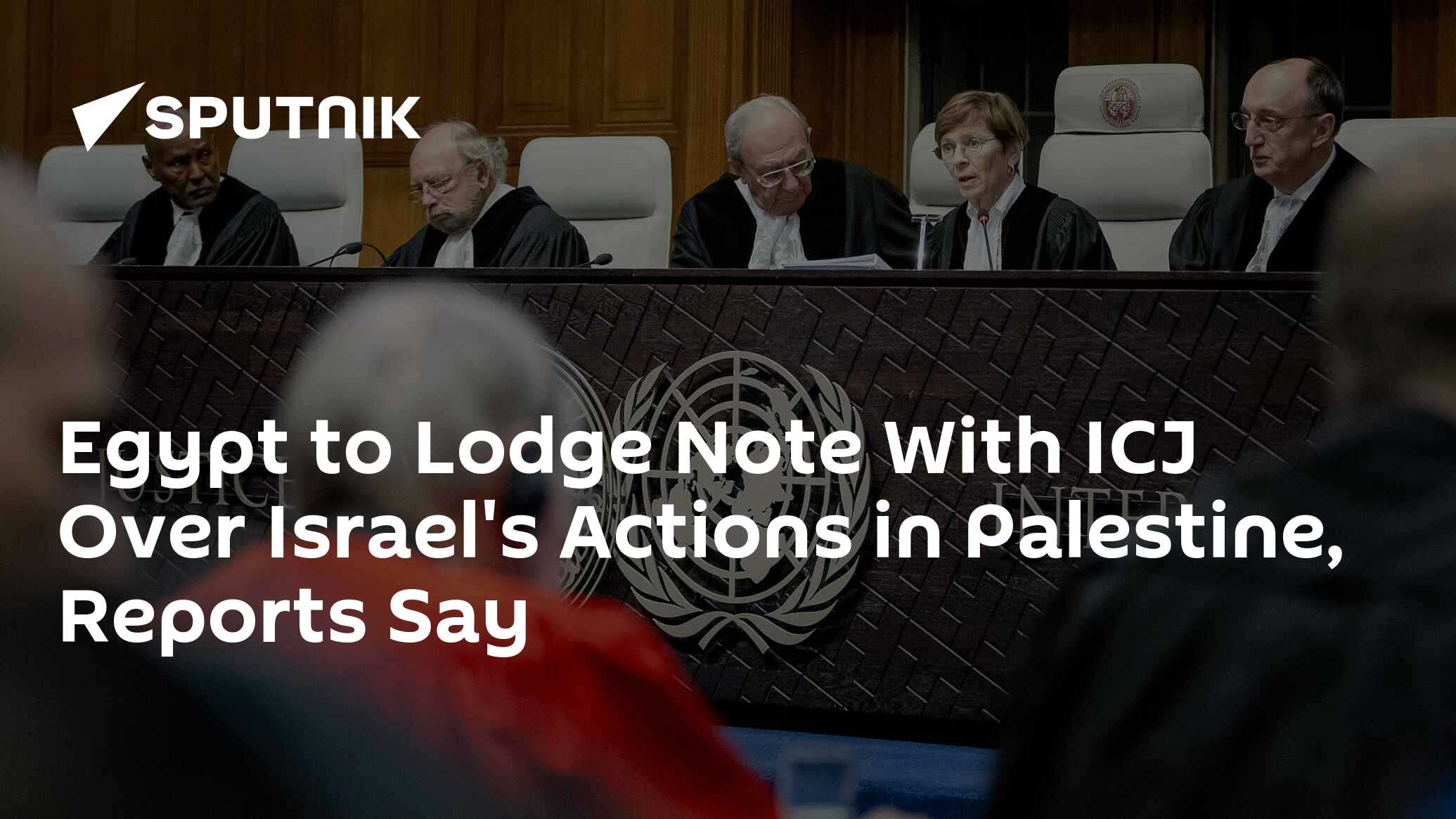Egypt to Lodge Note With ICJ Over Israel's Actions in Palestine ...