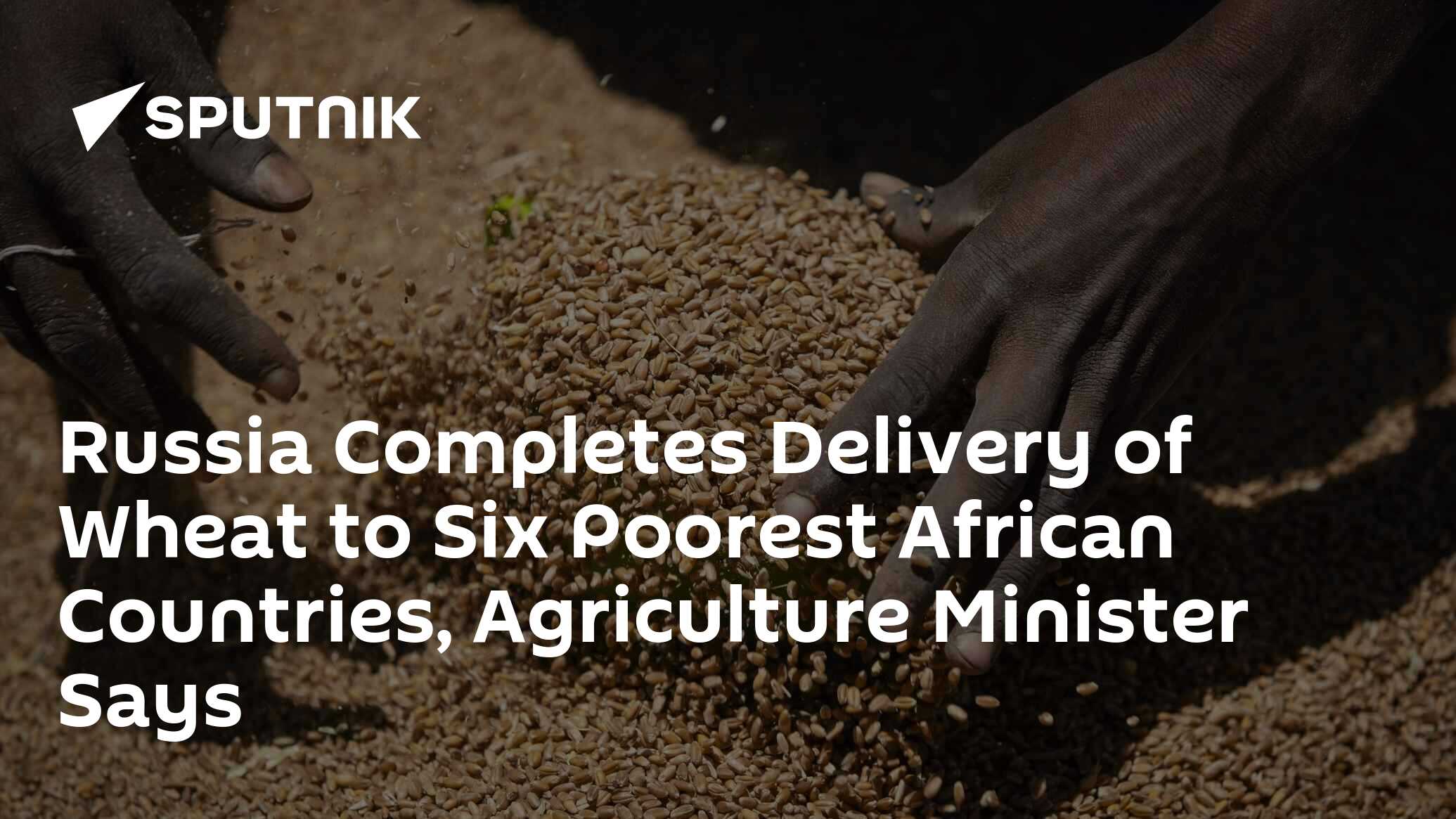 Russia Completes Delivery of Wheat to Six Poorest African Countries ...