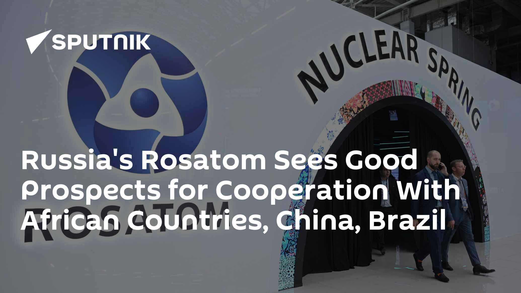 Russia's Rosatom Sees Good Prospects for Cooperation With African ...