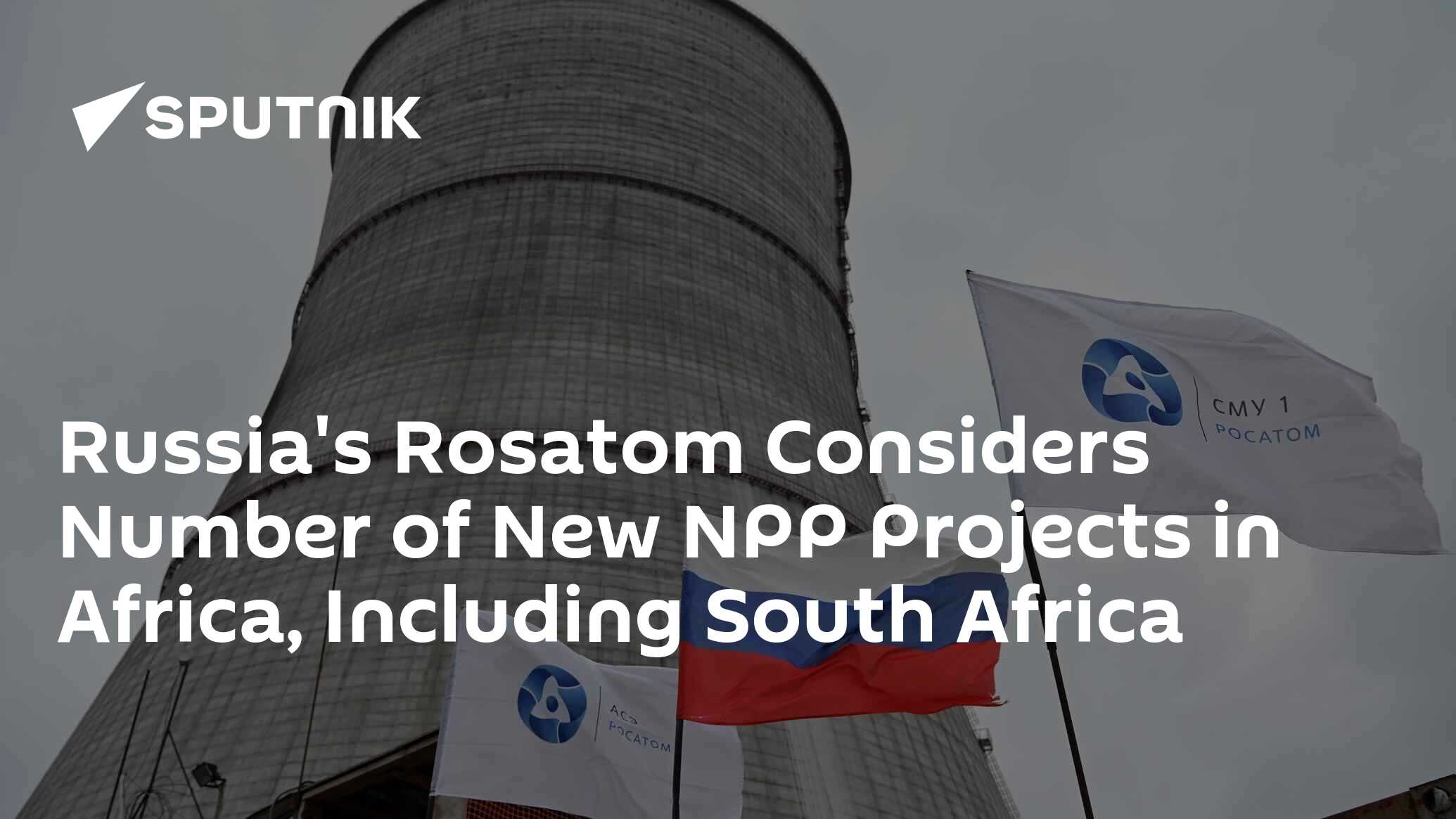 Russia's Rosatom Considers Number of New NPP Projects in Africa ...