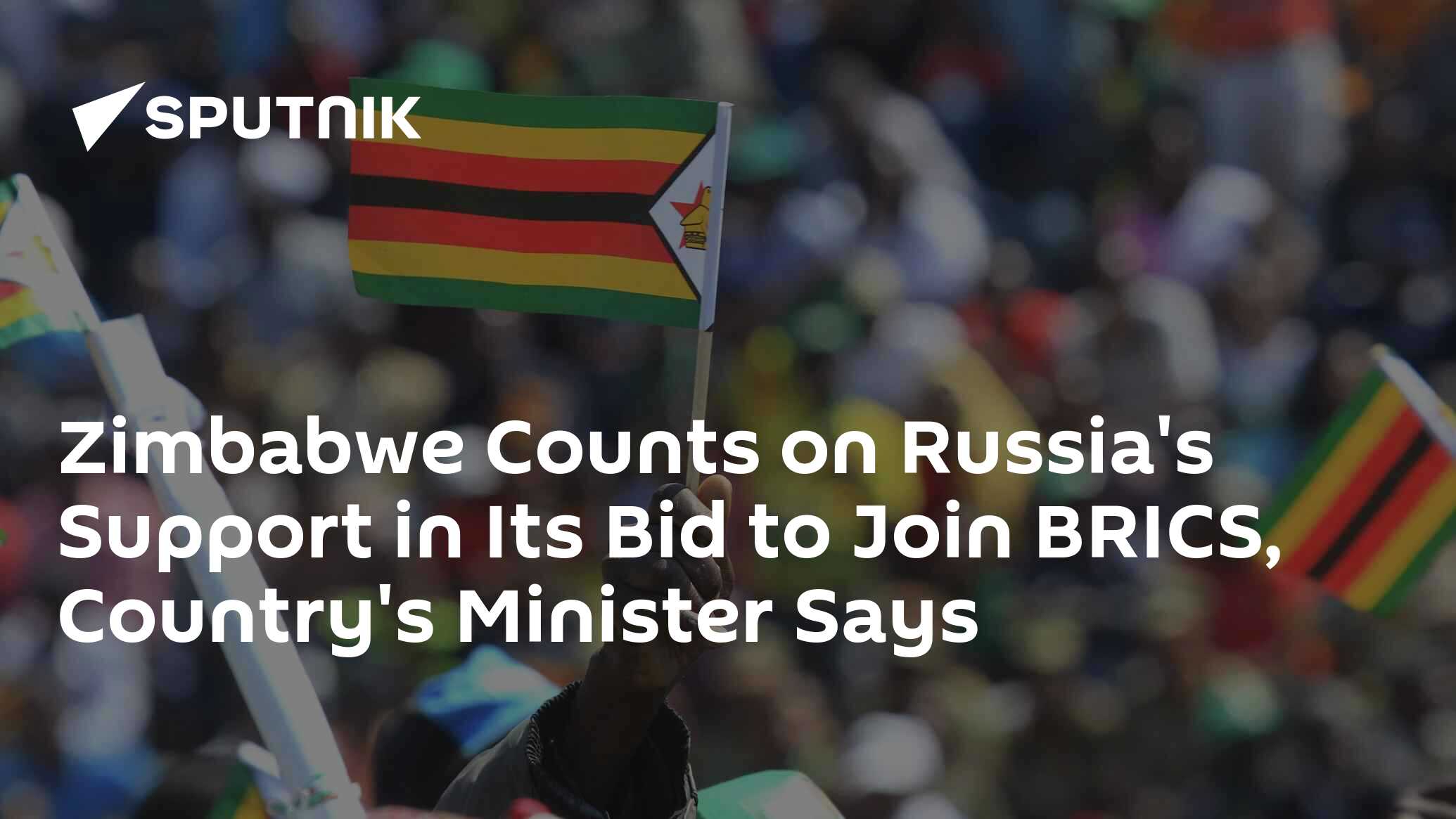 Zimbabwe Counts on Russia's Support in Its Bid to Join BRICS, Country's ...