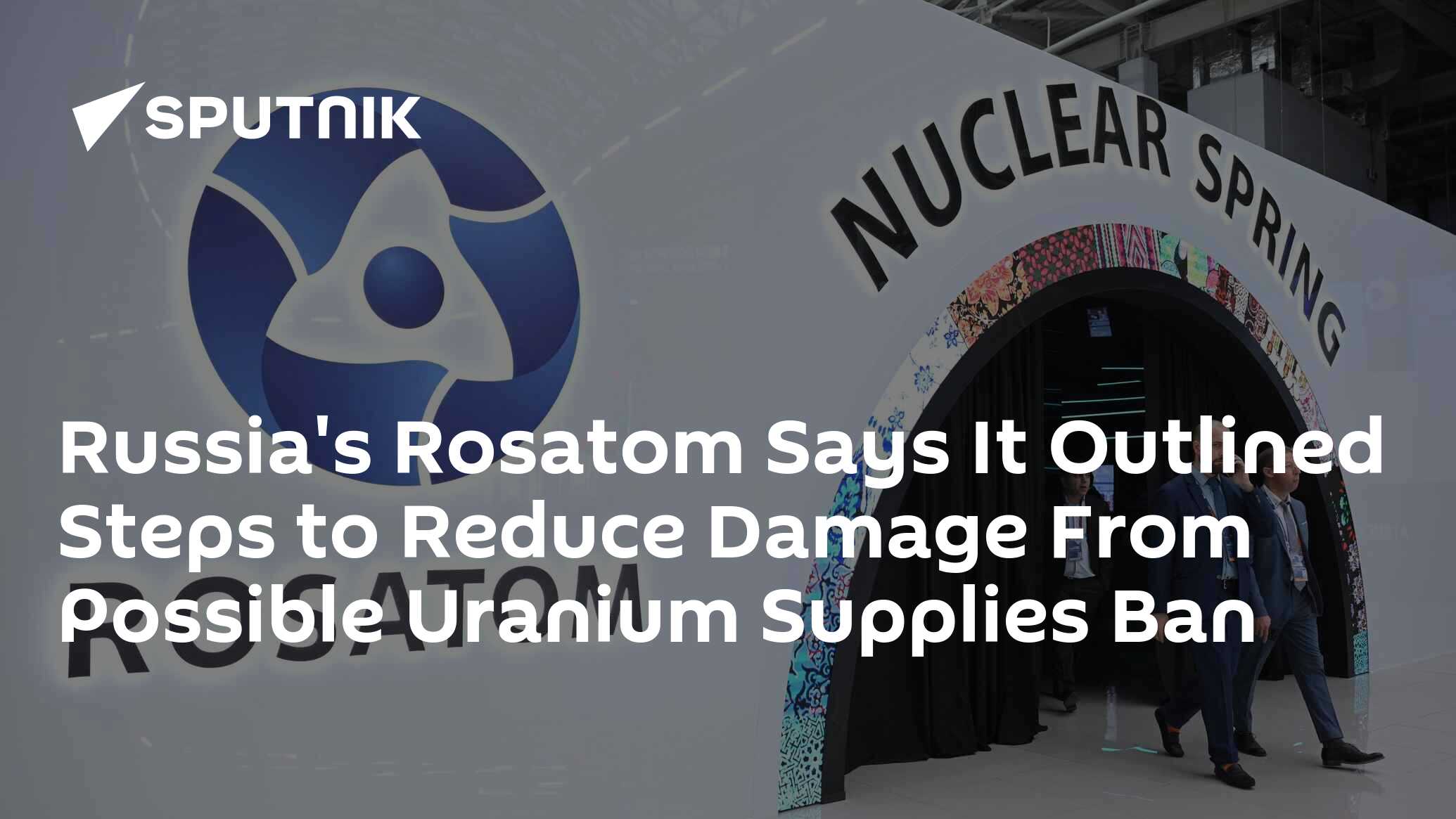 Russia's Rosatom Says It Outlined Steps to Reduce Damage From Possible ...