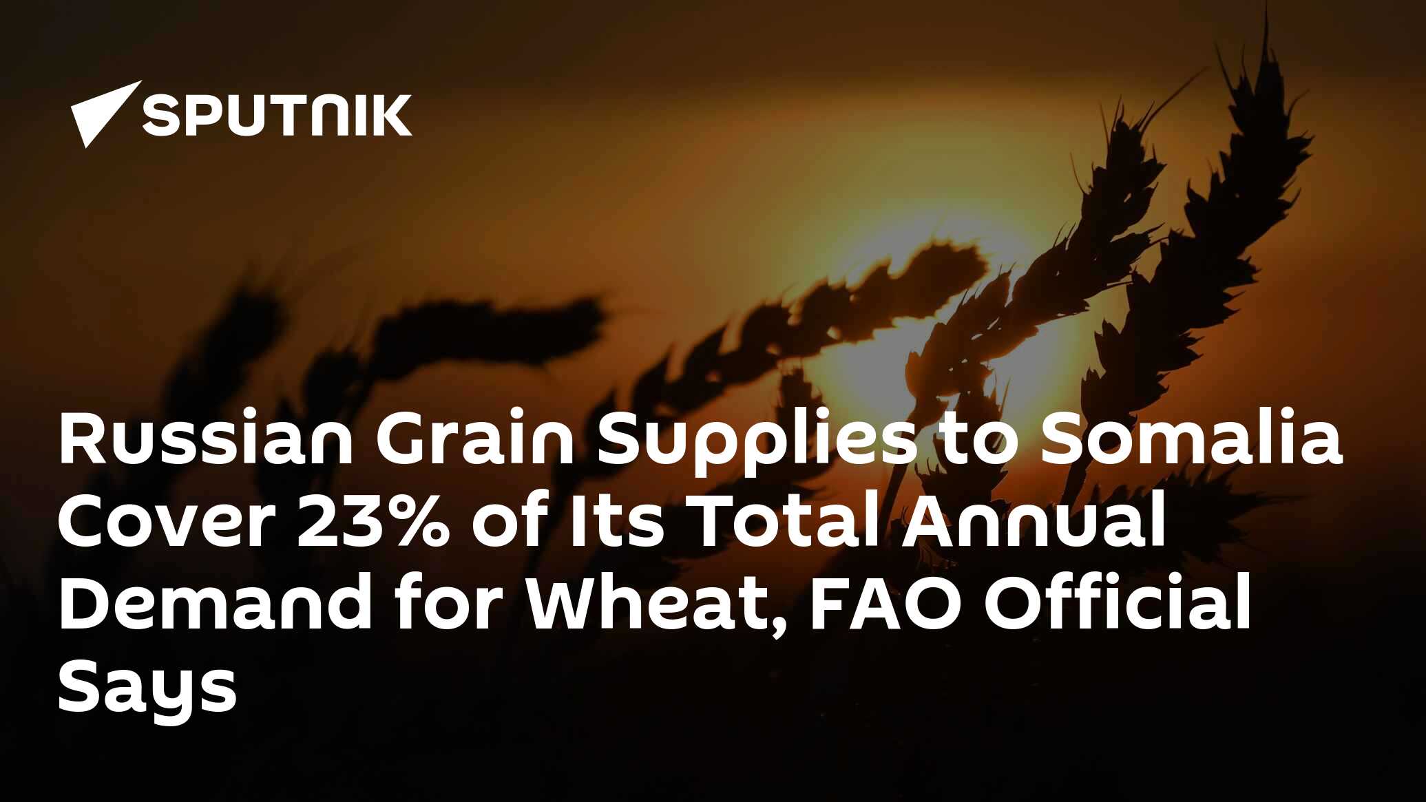 Russian Grain Supplies to Somalia Cover 23% of Its Total Annual Demand ...