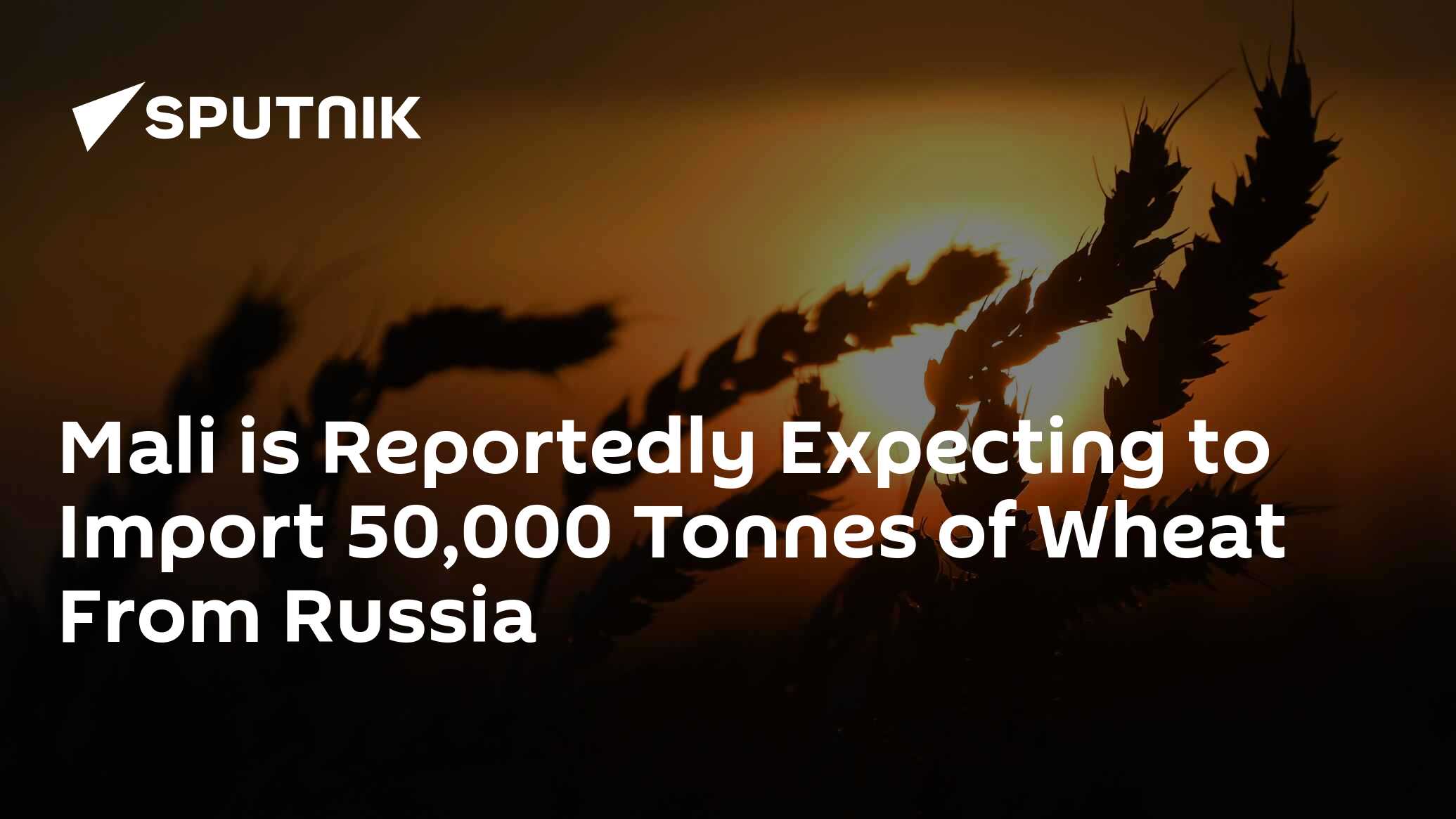 Mali is Reportedly Expecting to Import 50,000 Tonnes of Wheat From ...