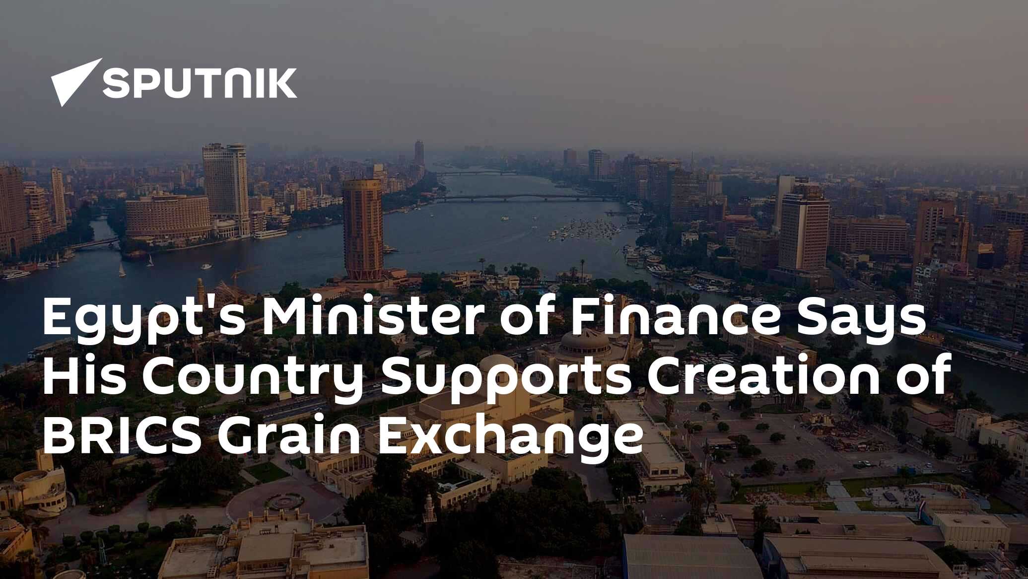 Egypt's Minister of Finance Says His Country Supports Creation of BRICS ...