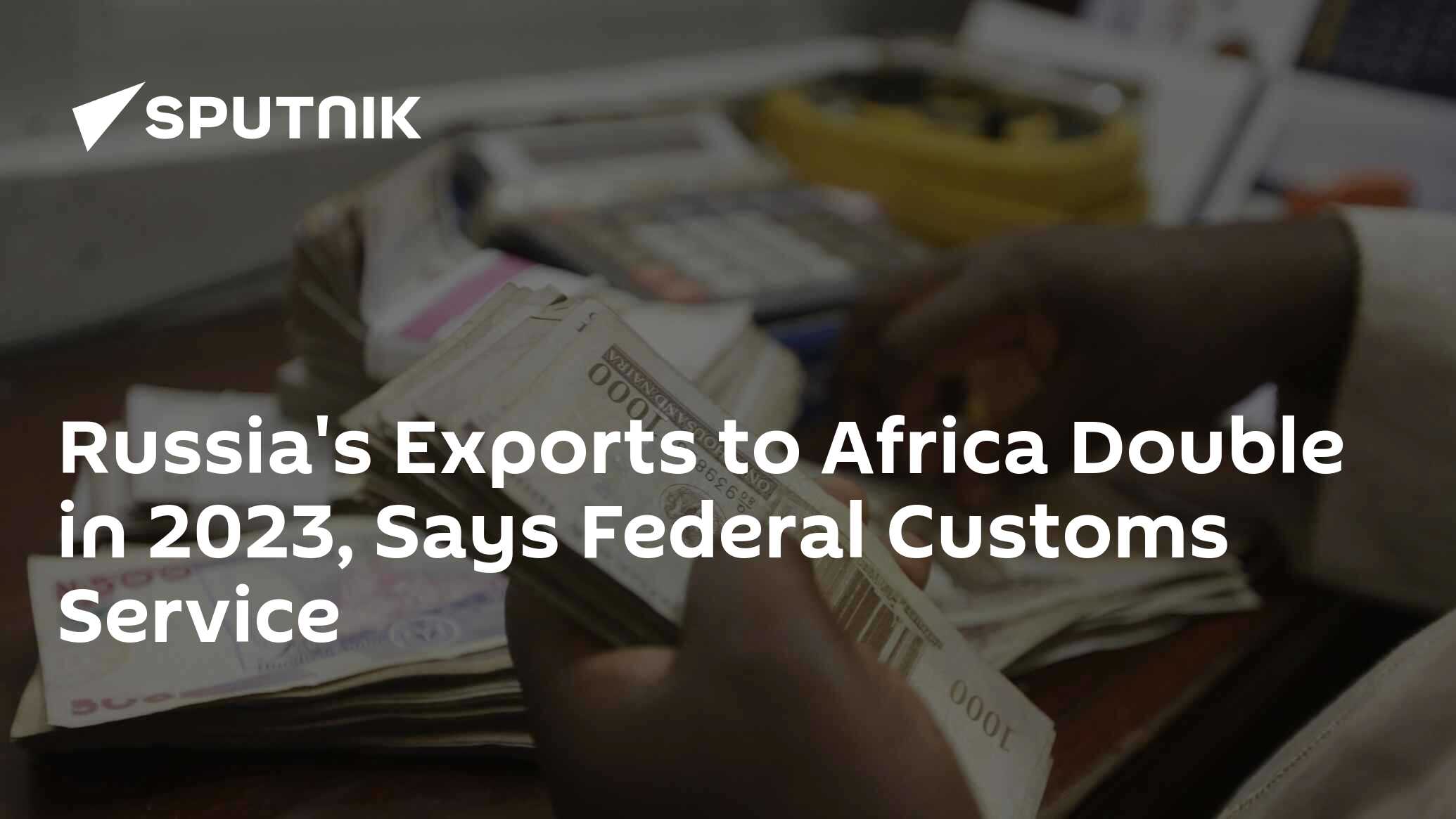 Russia's Exports to Africa Double in 2023, Says Federal Customs Service ...