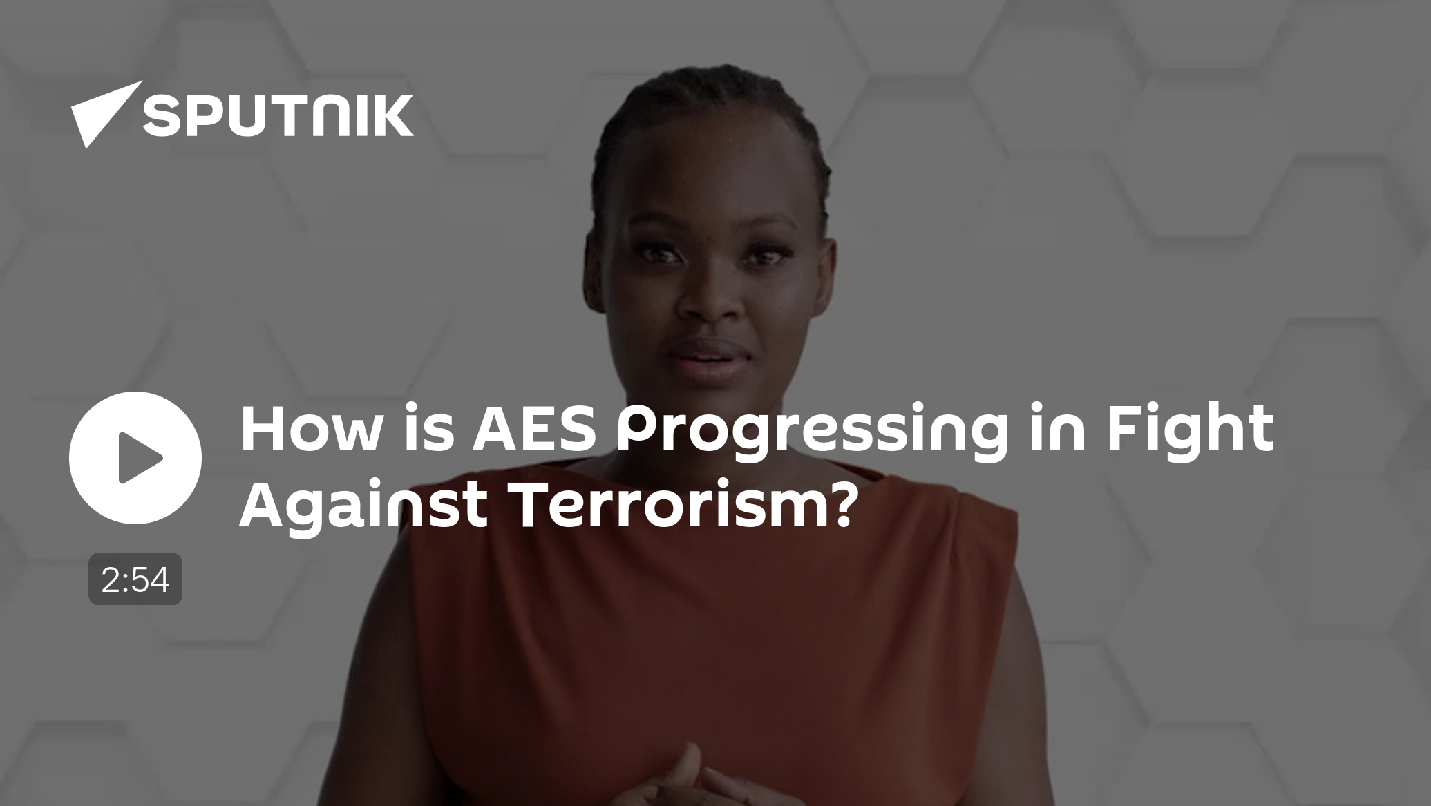 How is AES Progressing in Fight Against Terrorism? - 20.04.2024 ...