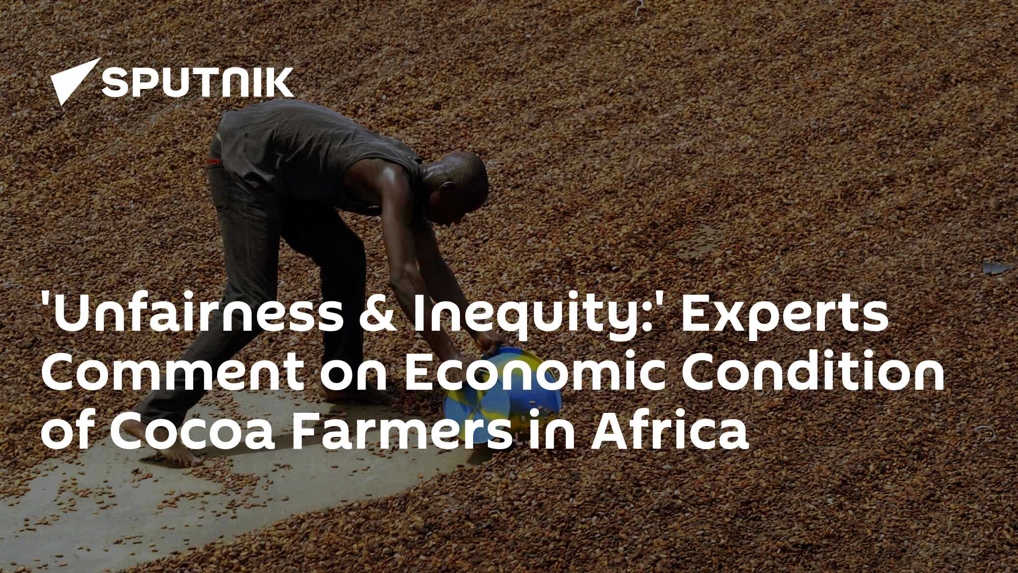 'Unfairness & Inequity:' Experts Comment on Economic Condition of Cocoa ...