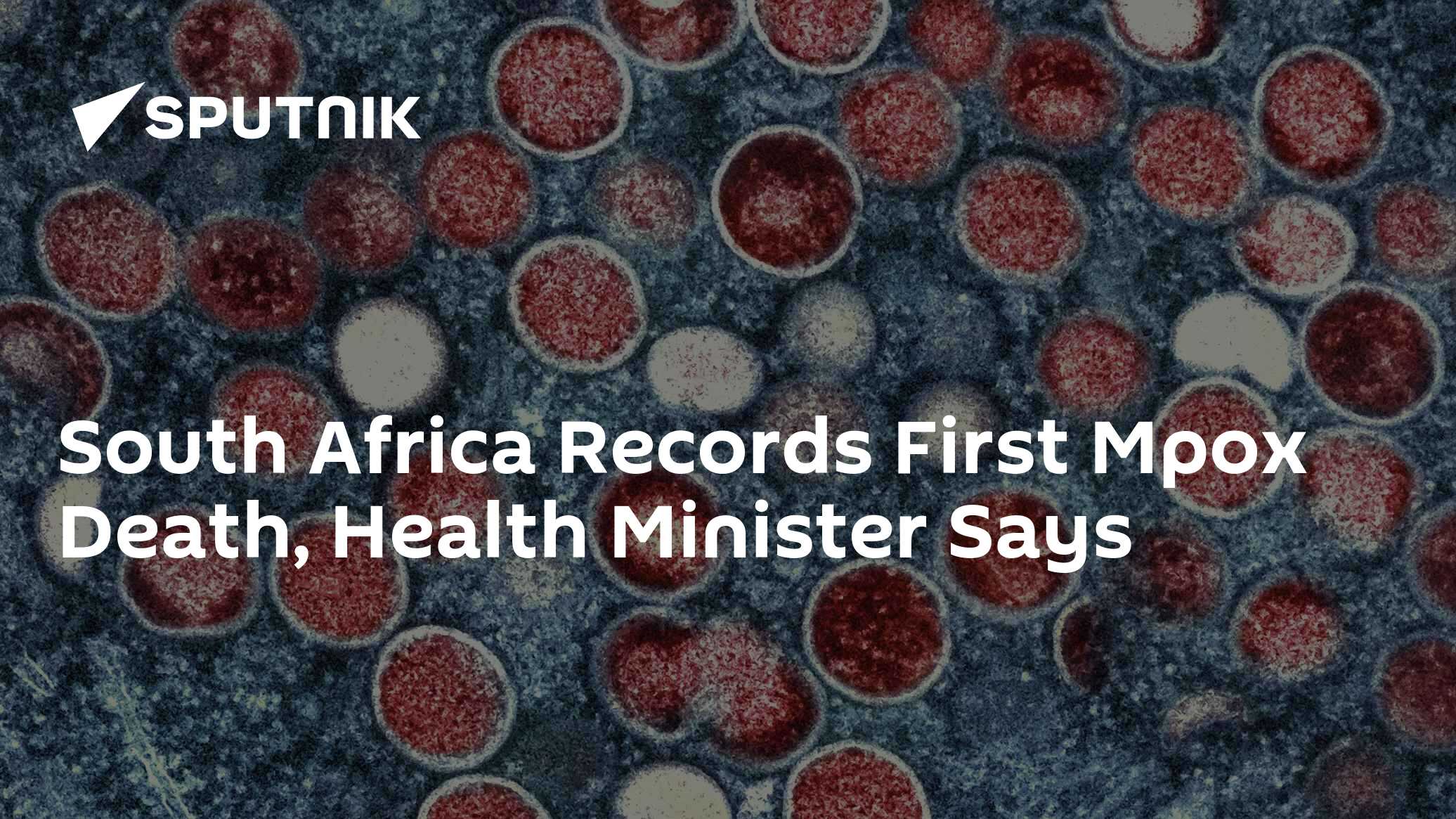 South Africa Records First Mpox Death, Health Minister Says - 12.06. ...