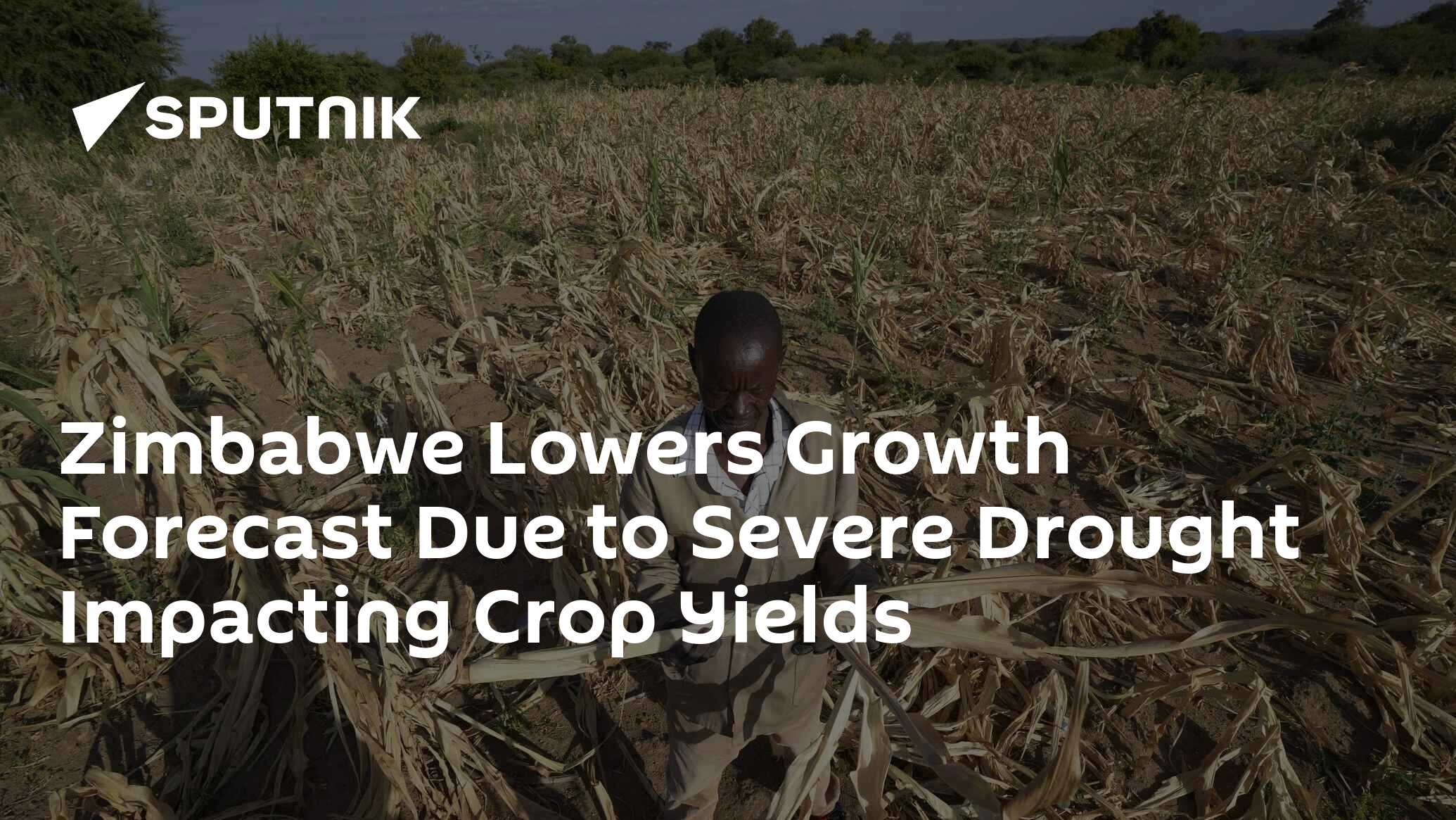 Zimbabwe Lowers Growth Forecast Due to Severe Drought Impacting Crop ...