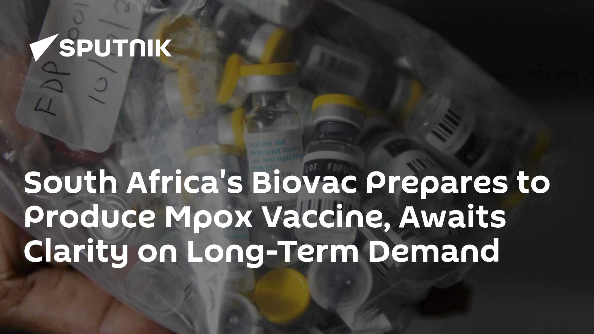 South Africa's Biovac Prepares to Produce Mpox Vaccine, Awaits Clarity ...