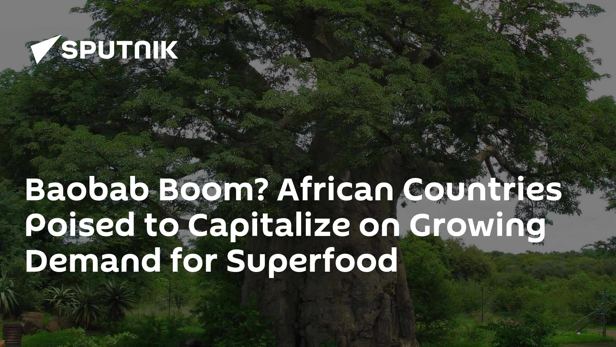 Baobab Boom? African Countries Poised to Capitalize on Growing Demand ...
