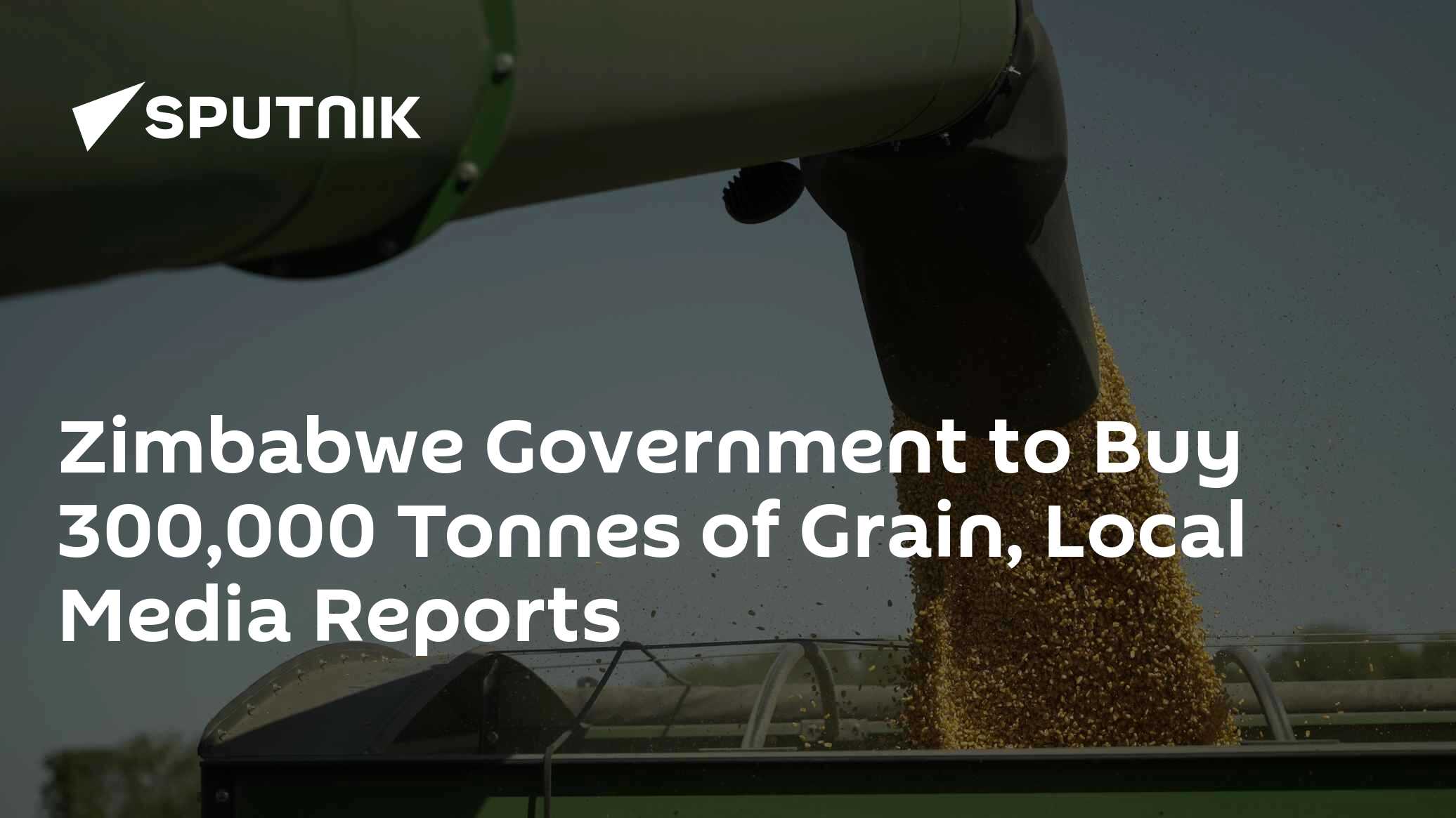 Zimbabwe Government to Buy 300,000 Tonnes of Grain, Local Media Reports ...