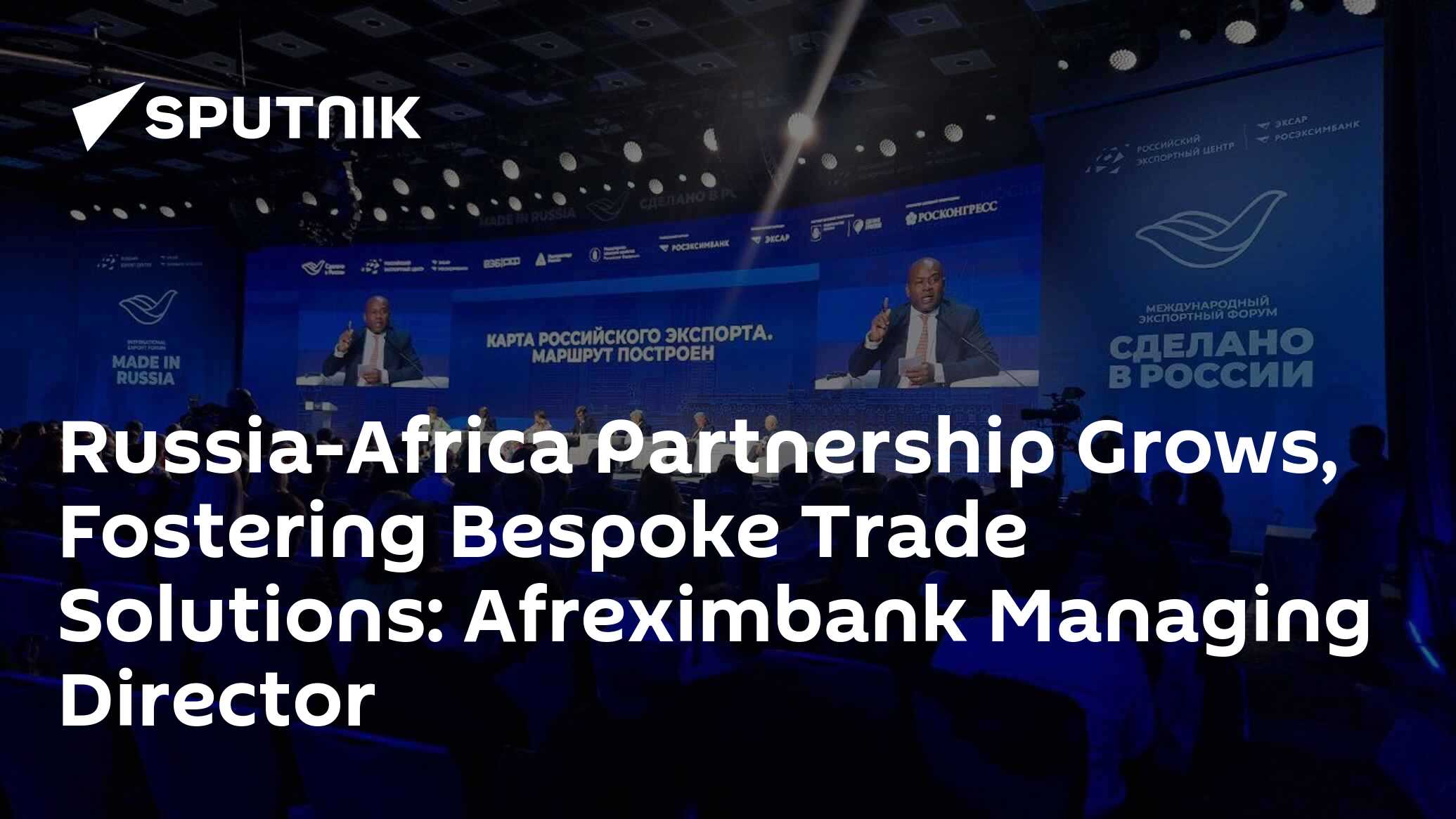 Russia-Africa Partnership Grows, Fostering Bespoke Trade Solutions: Afreximbank Managing ...