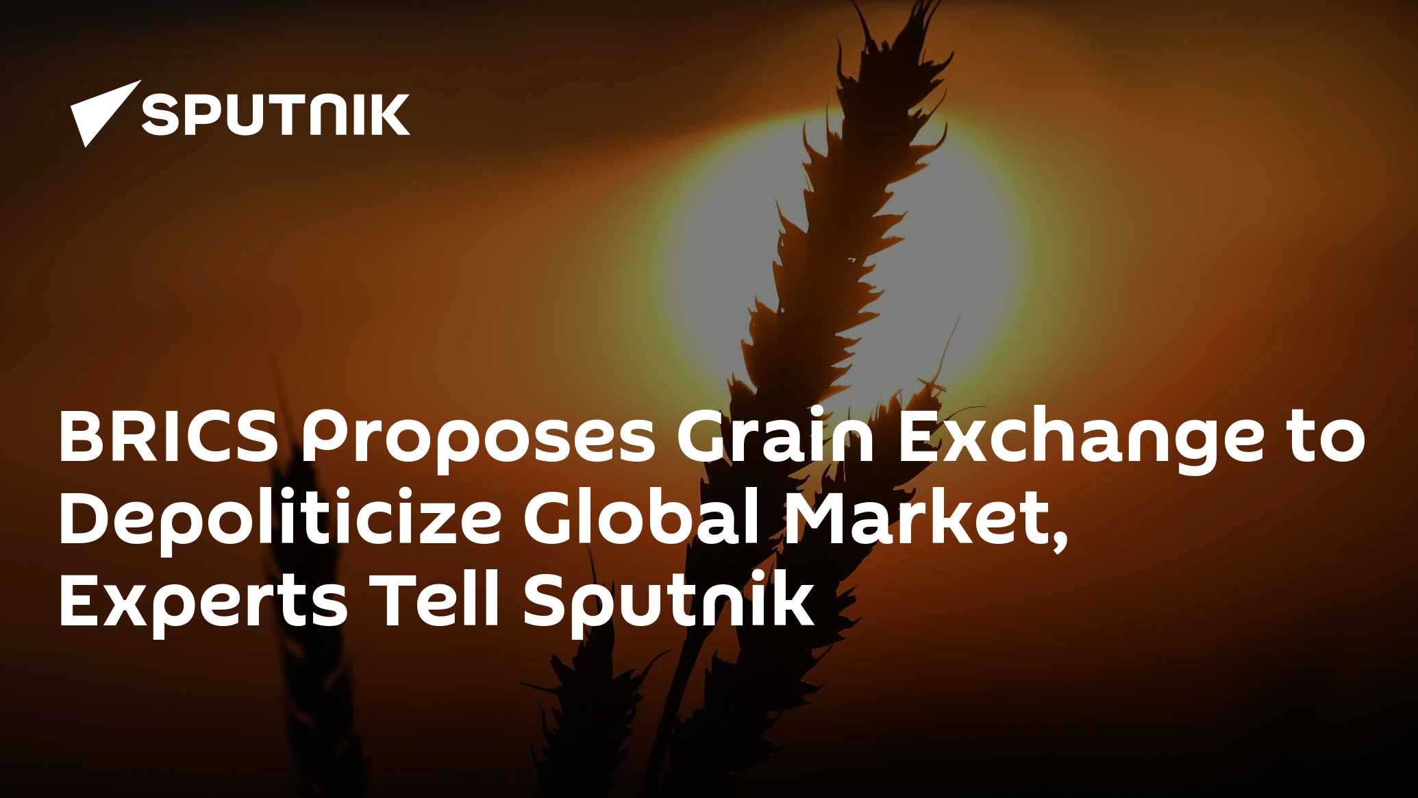 BRICS Proposes Grain Exchange to Depoliticize Global Market, Experts ...