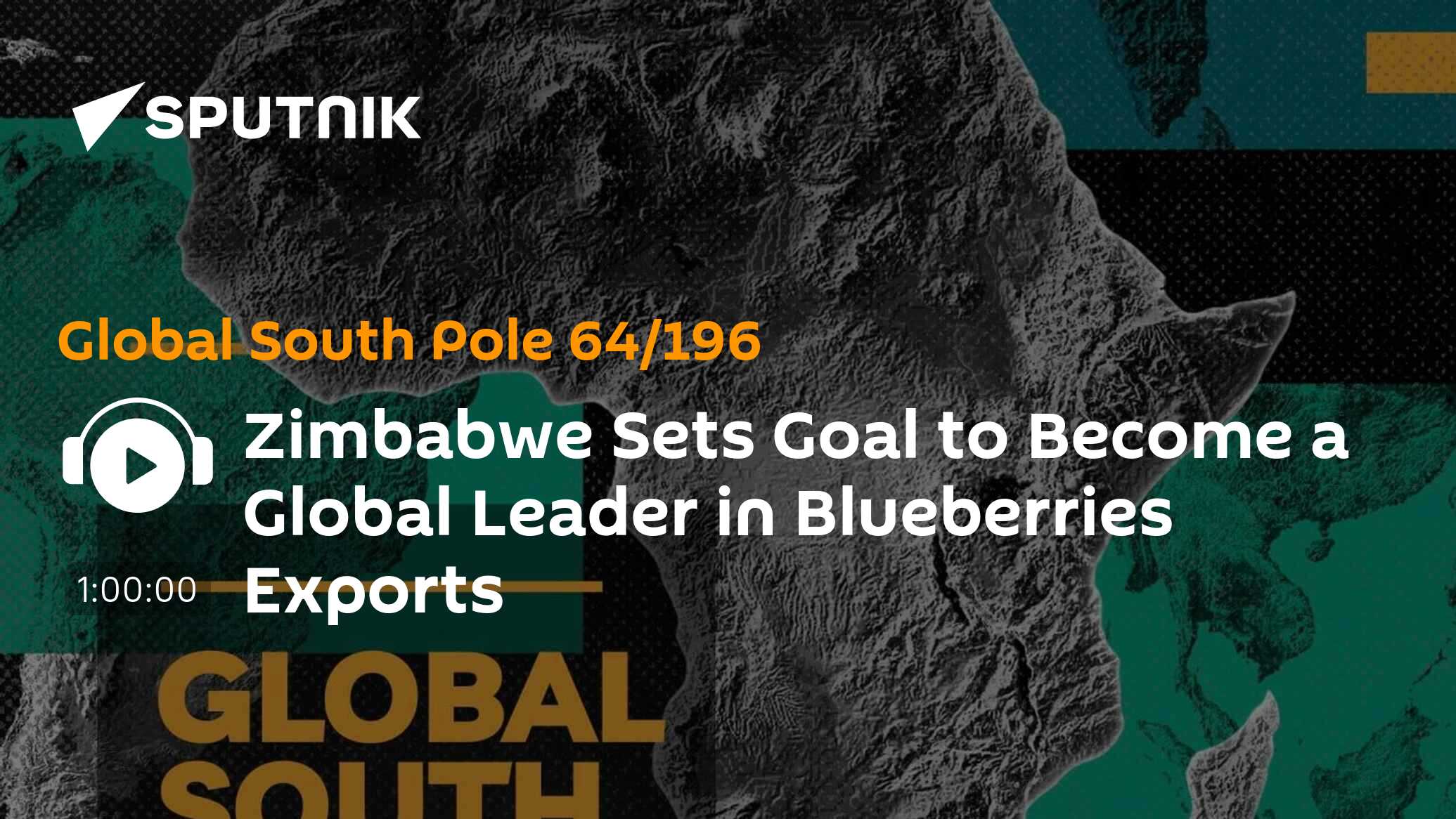 Zimbabwe Sets Goal to Become a Global Leader in Blueberries Exports ...