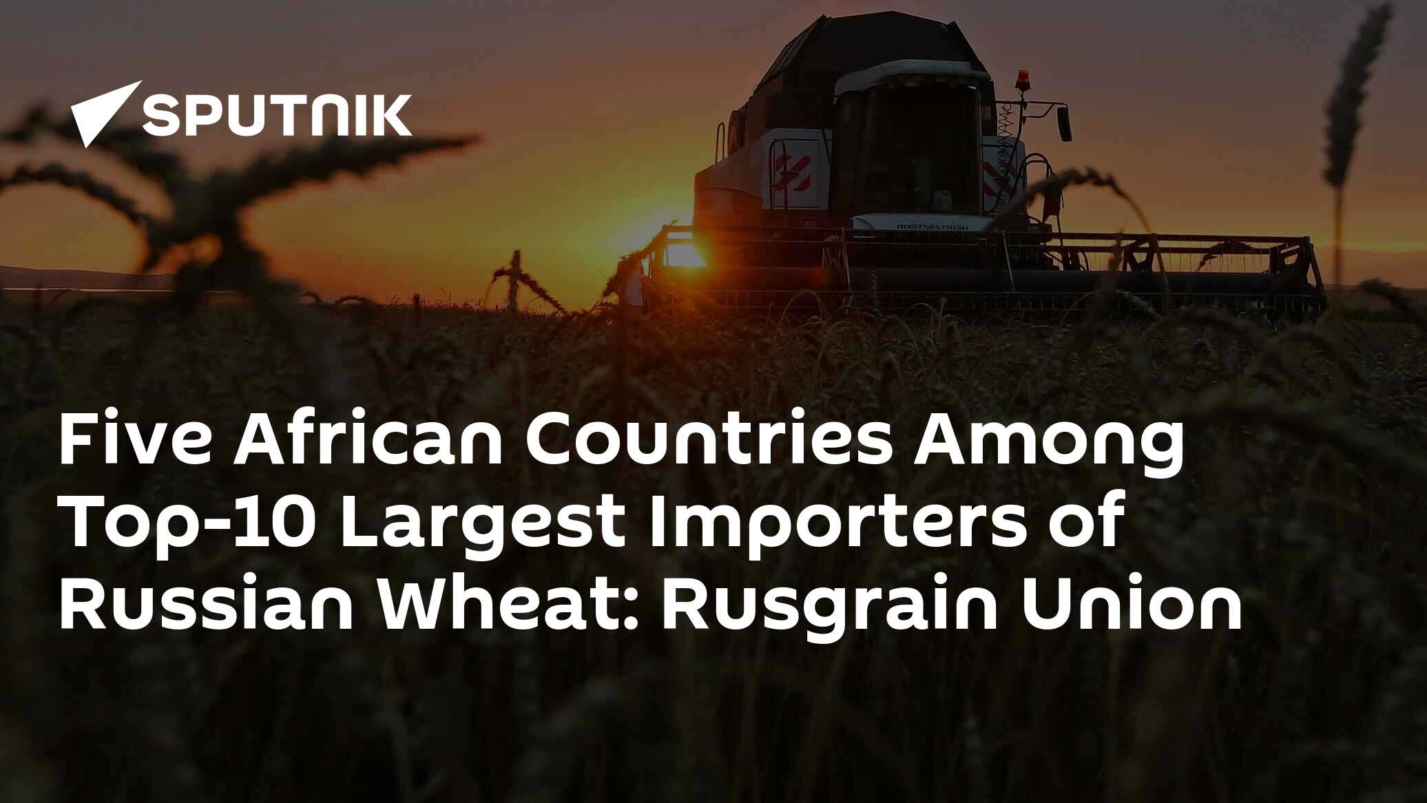 Five African Countries Among Top-10 Largest Importers of Russian Wheat ...