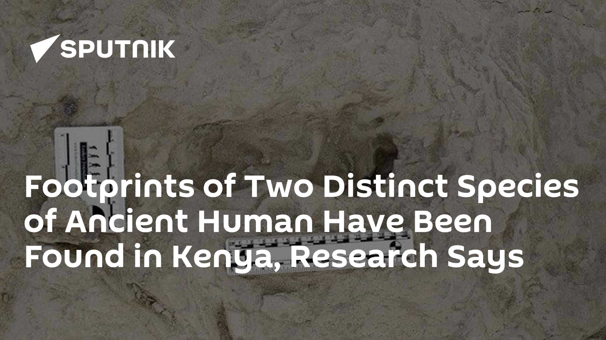 Footprints of Two Distinct Species of Ancient Human Have Been Found in ...