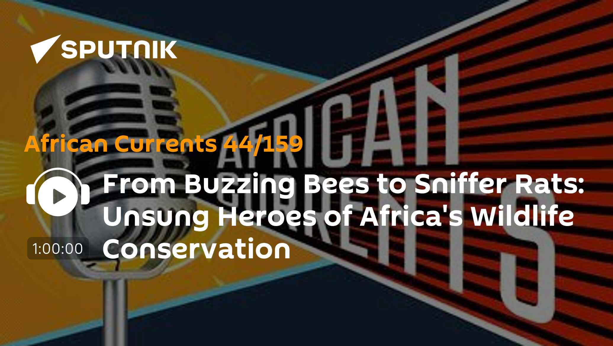 From Buzzing Bees to Sniffer Rats: Unsung Heroes of Africa's Wildlife ...