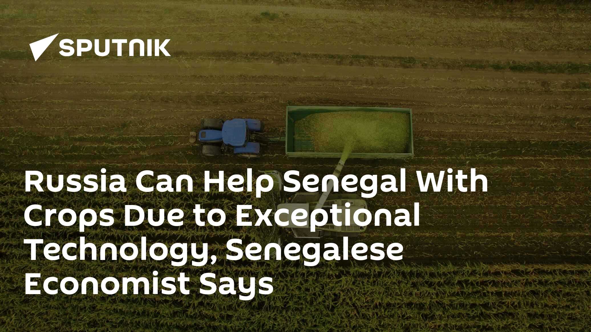 Russia Can Help Senegal With Crops Due to Exceptional Technology ...