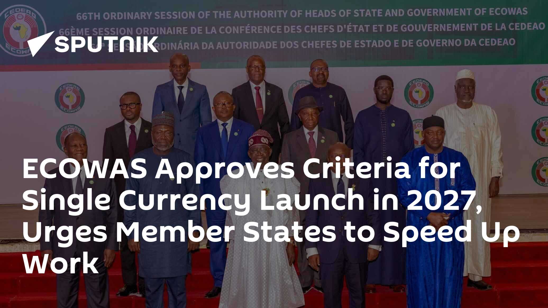 ECOWAS Approves Criteria for Single Currency Launch in 2027, Urges ...