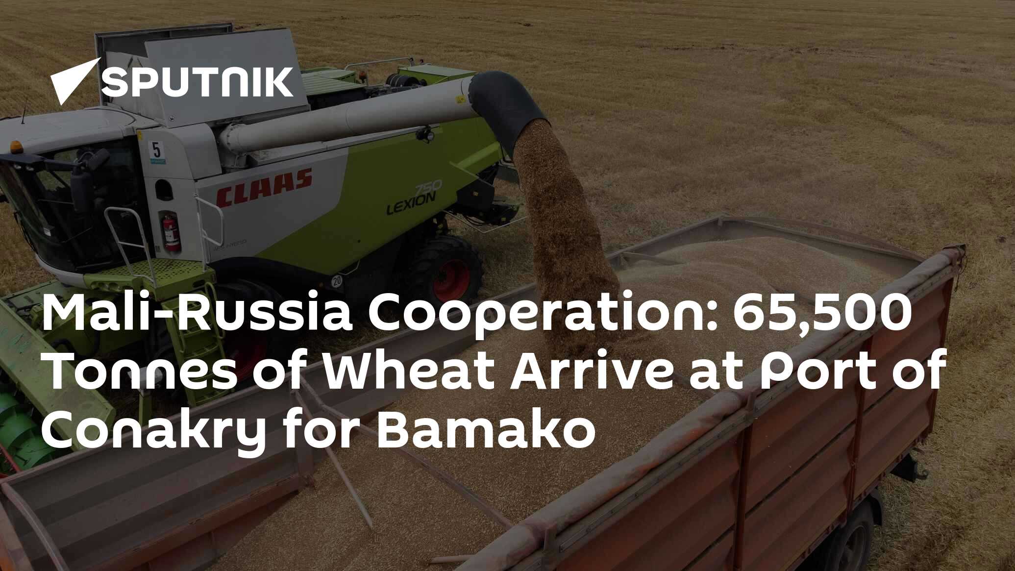 Mali-Russia Cooperation: 65,500 Tonnes of Wheat Arrive at Port of ...