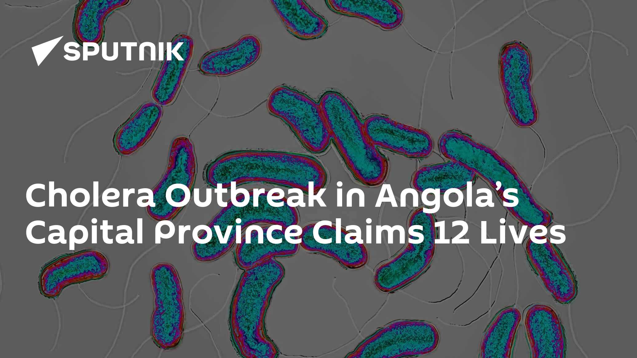 Cholera Outbreak in Angola’s Capital Province Claims 12 Lives - 11.01. ...