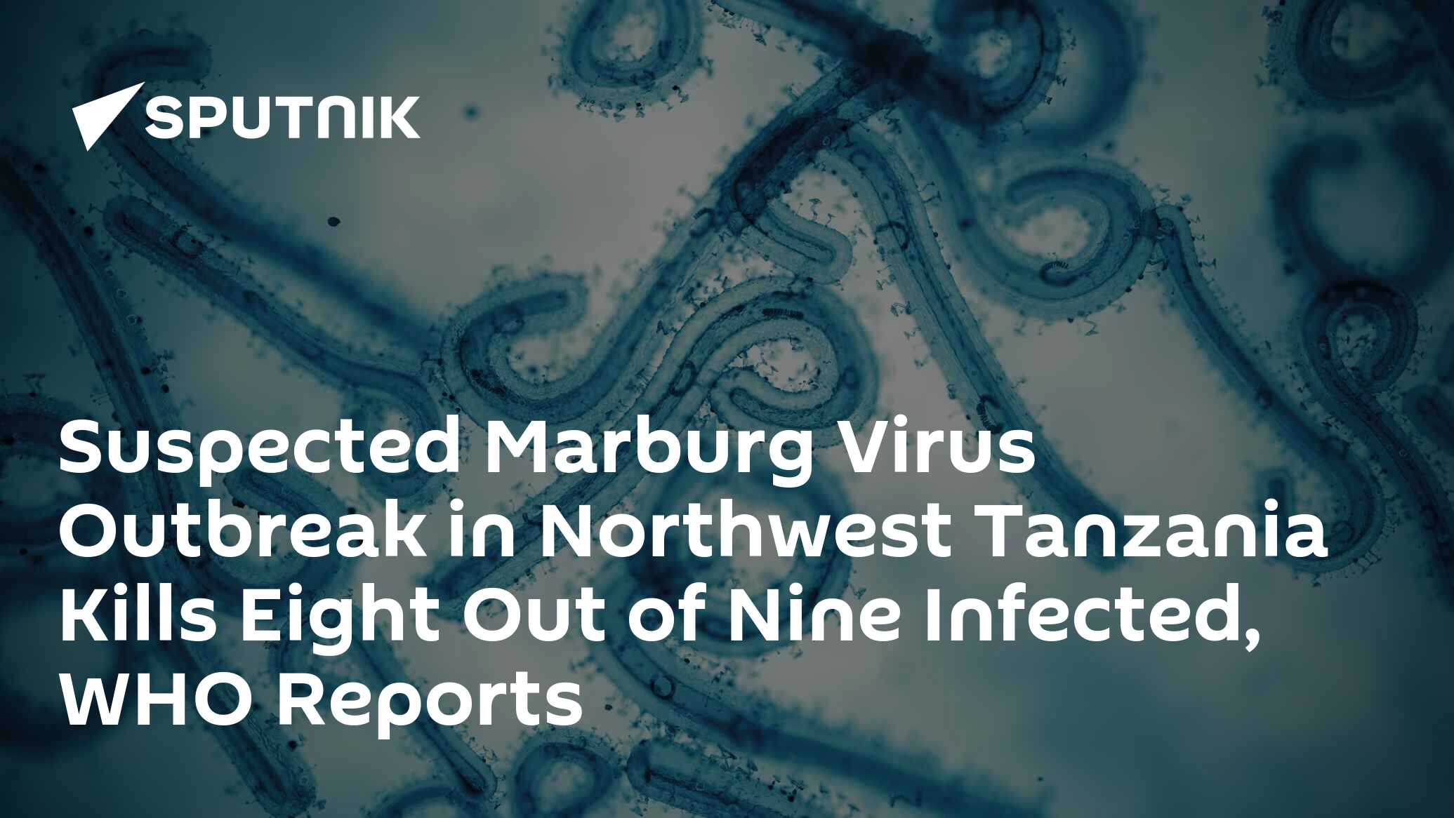 Suspected Marburg Virus Outbreak in Northwest Tanzania Kills Eight Out ...