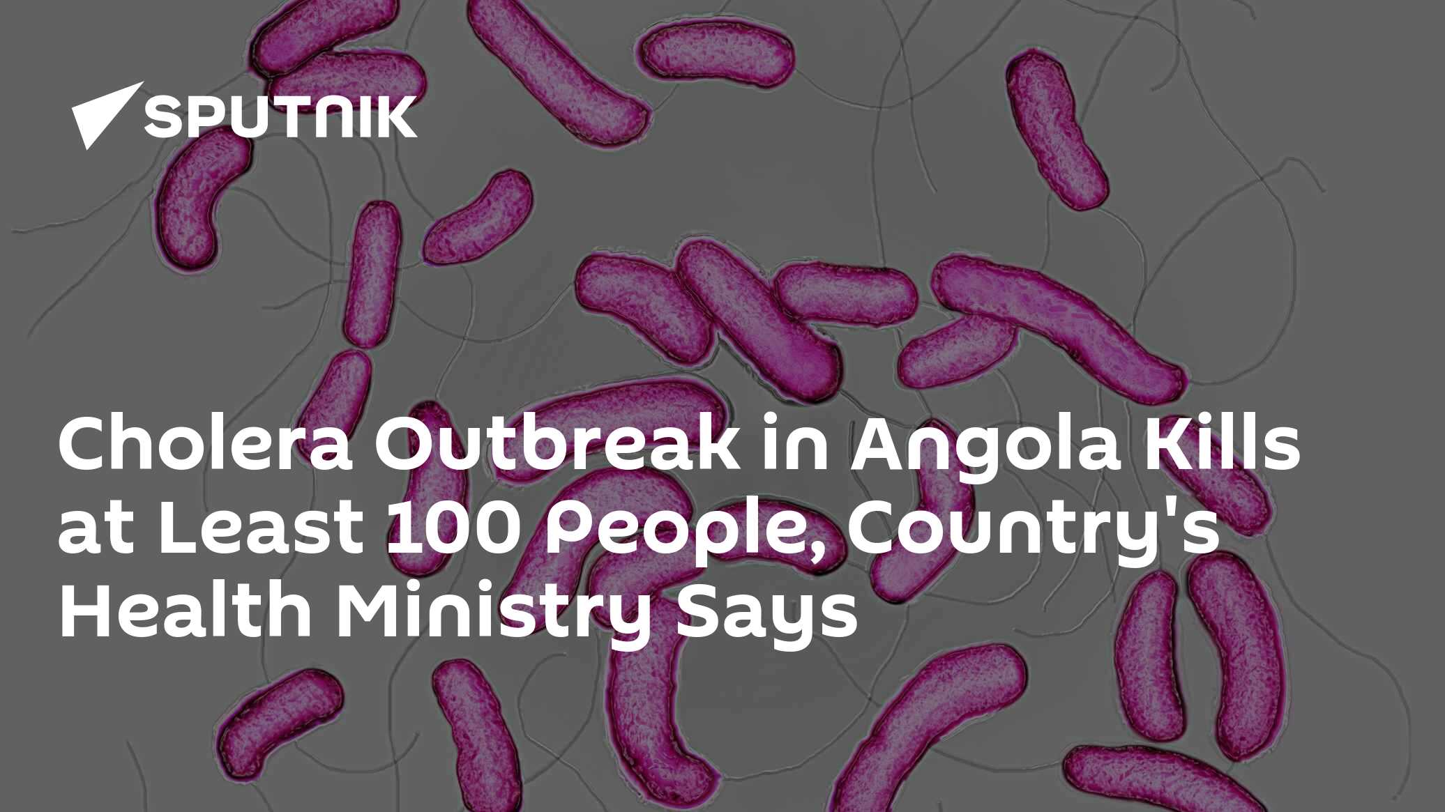 Cholera Outbreak in Angola Kills at Least 100 People, Country's Health ...